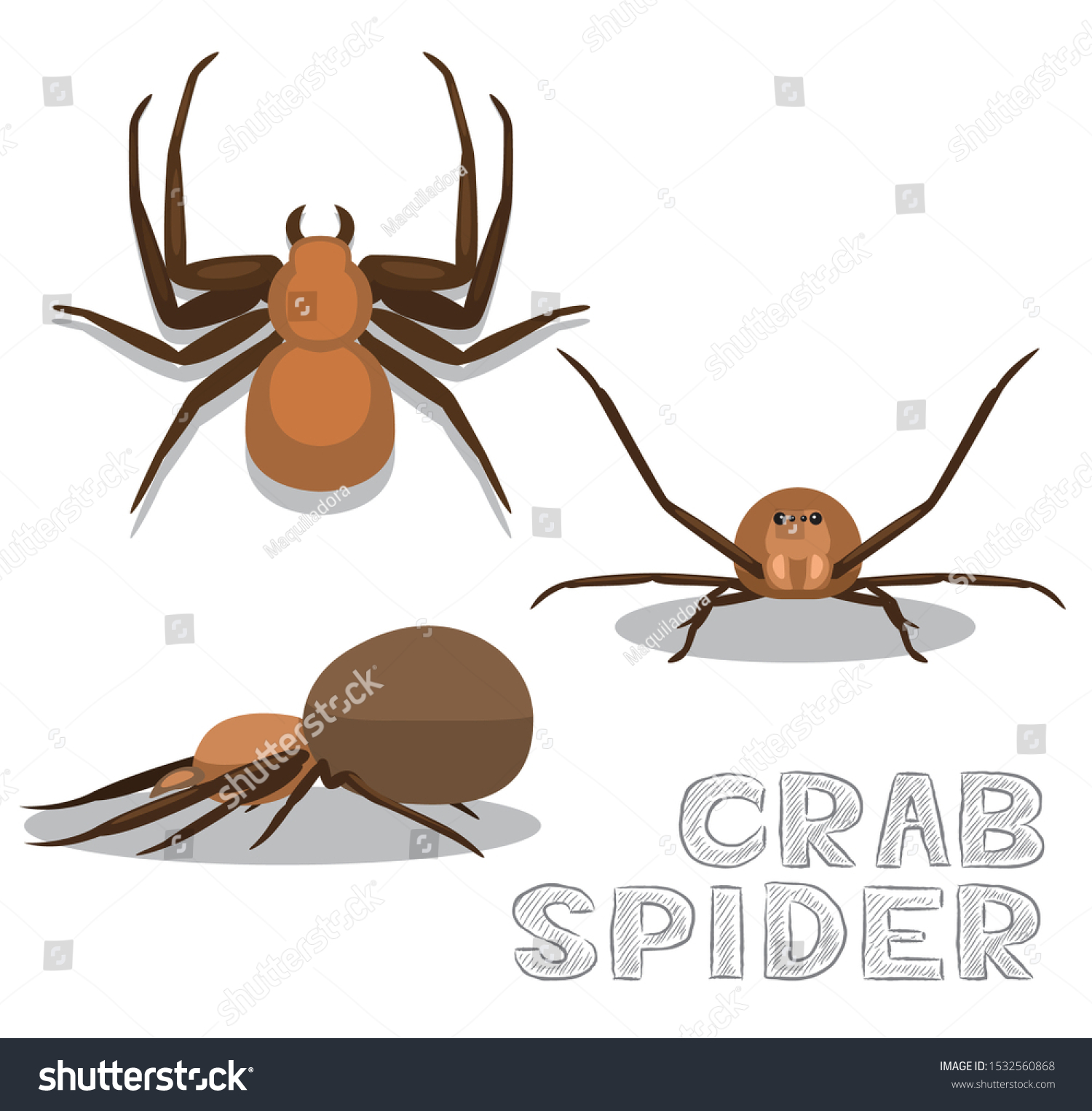 Crab Spider Cartoon Vector Illustration Stock Vector (Royalty Free ...
