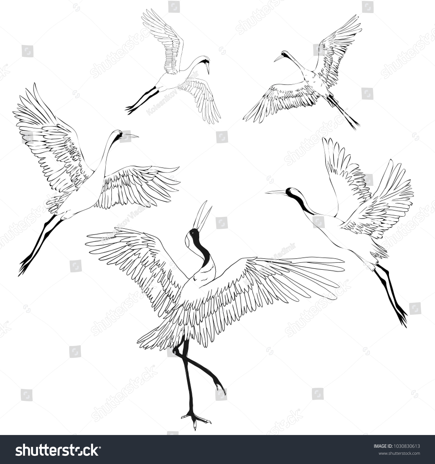 Crane Bird Flight Design Element Vector Stock Vector (Royalty Free ...