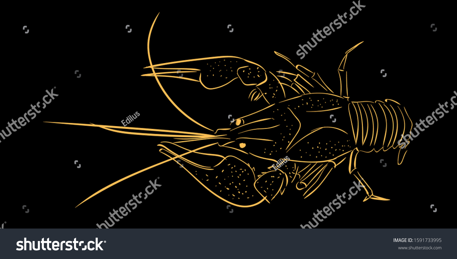 Crawfish Hand Drawn Vector Sketch Illustration: เวกเตอร์สต็อก (ปลอดค่า ...