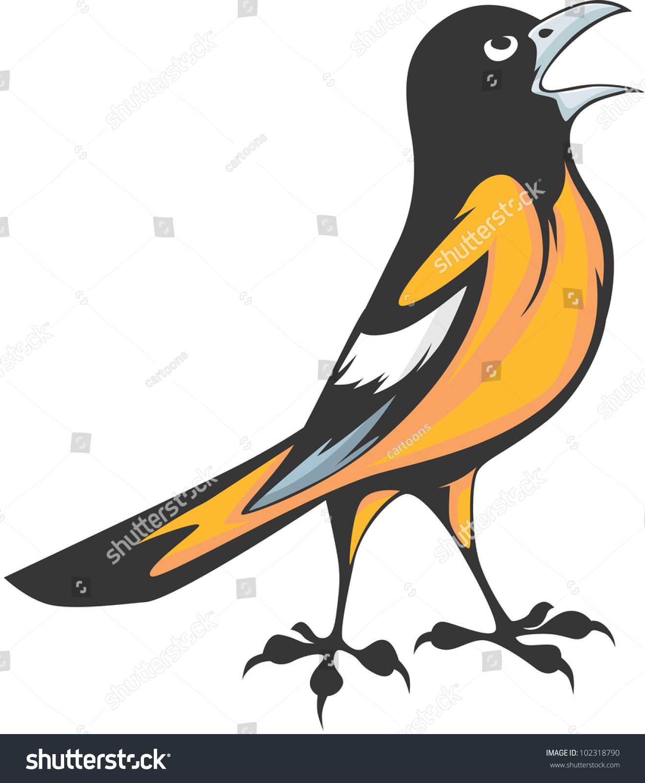 Creative Baltimore Oriole Illustration Stock Vector (Royalty Free ...