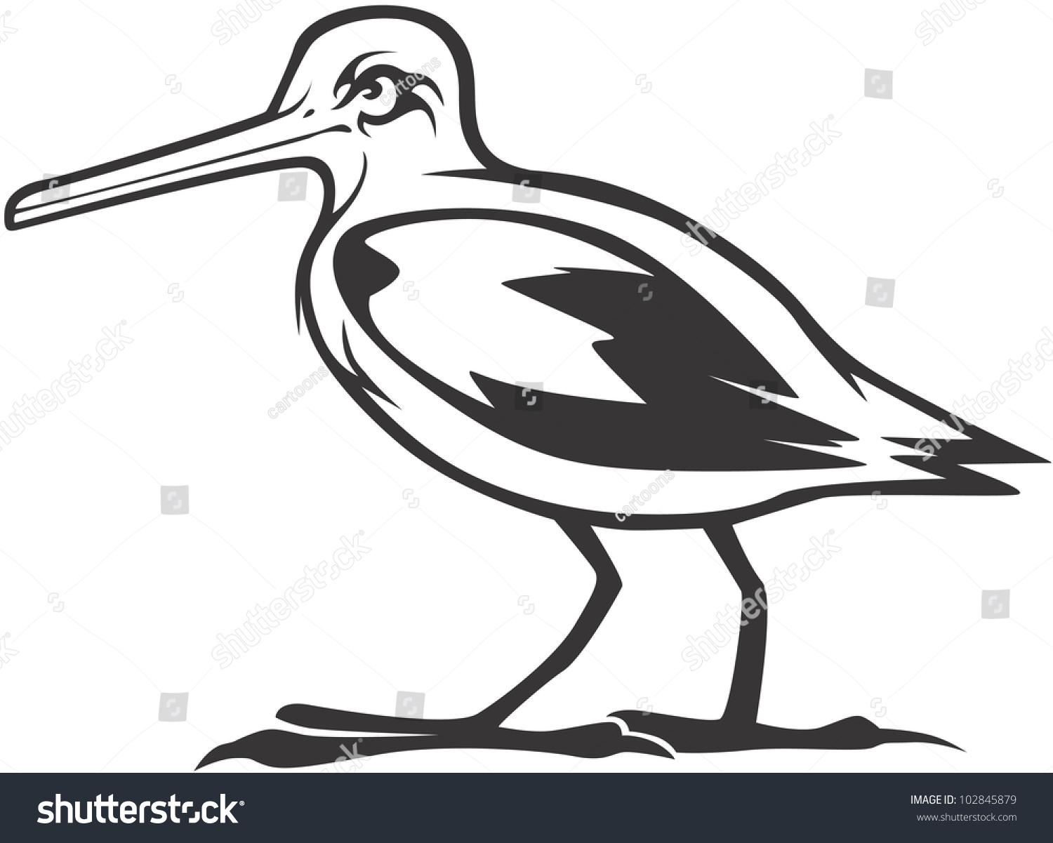 7 Cartoon common snipe: immagini, foto stock e grafica vettoriale ...