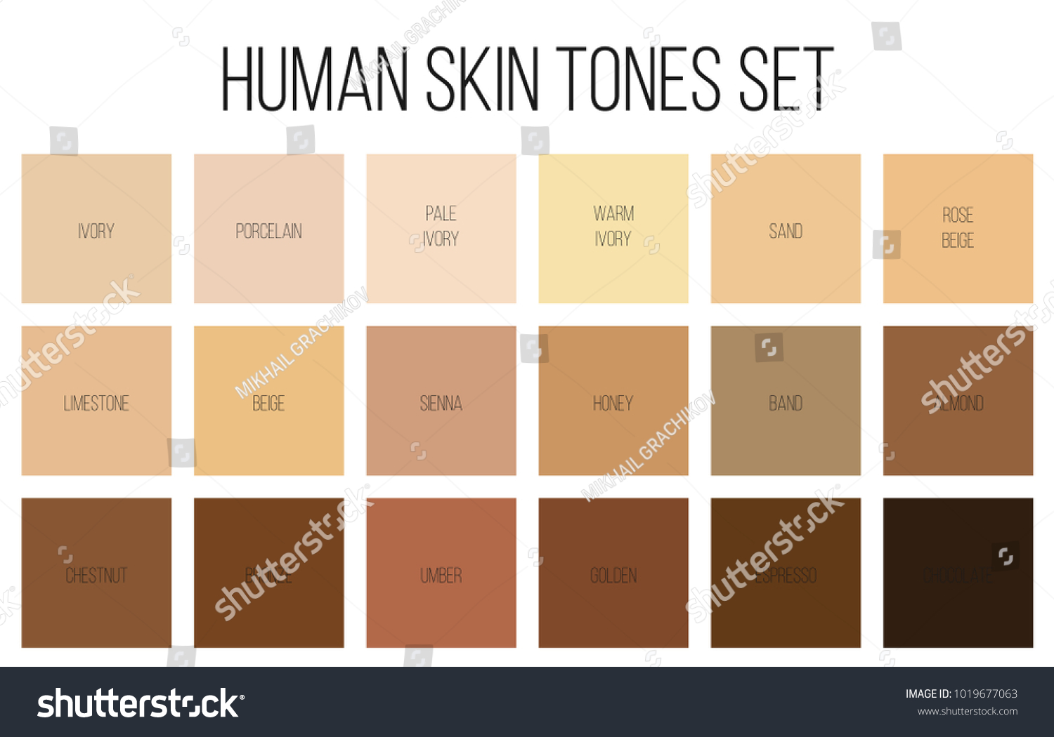 Creative Vector Illustration Human Skin Tone Stock Vector (Royalty Free ... Creative Vector Illustration Human Skin Tone Stock Vector (Royalty Free ...