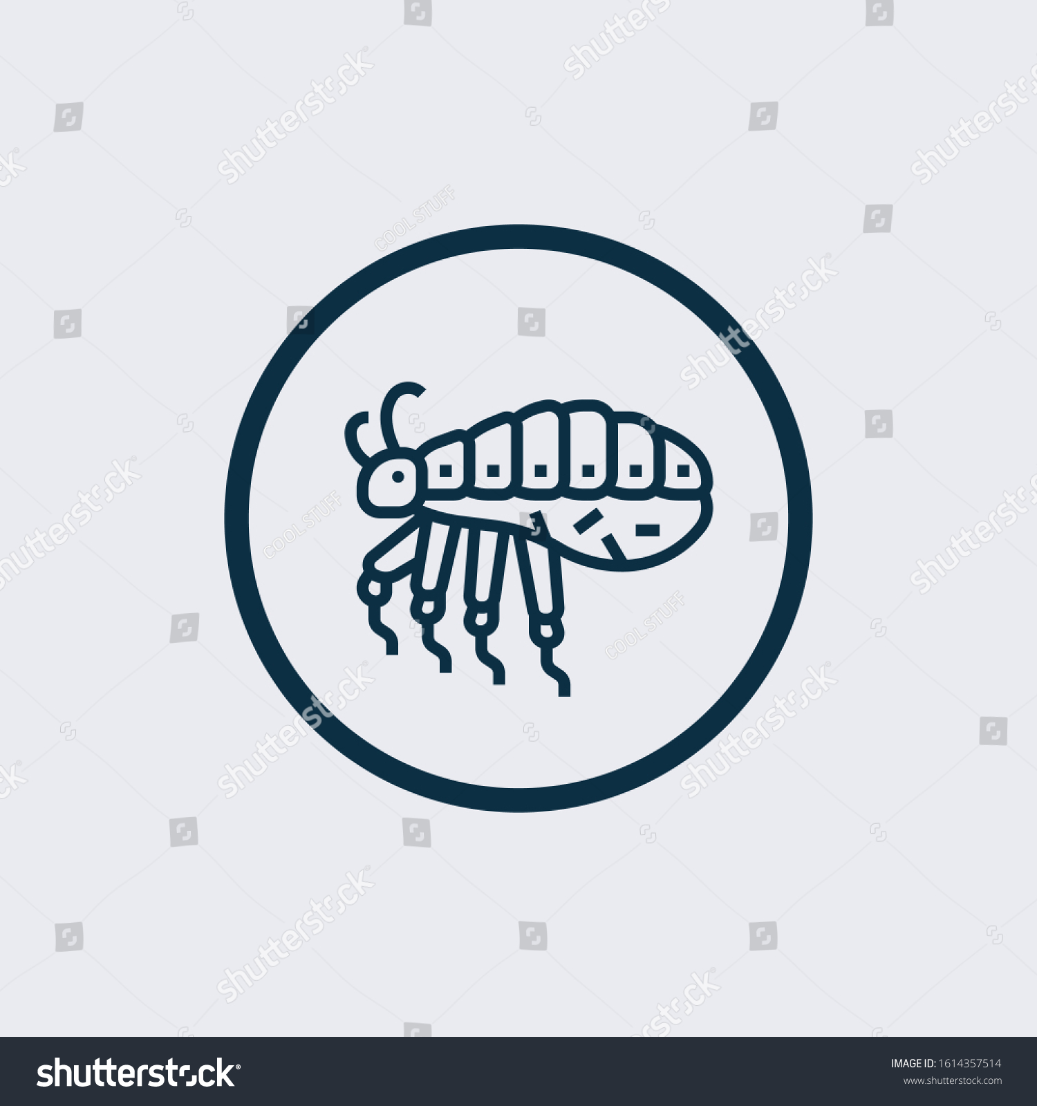 Cricket Icon Insect Concept Vector Illustration Stock Vector (Royalty ...