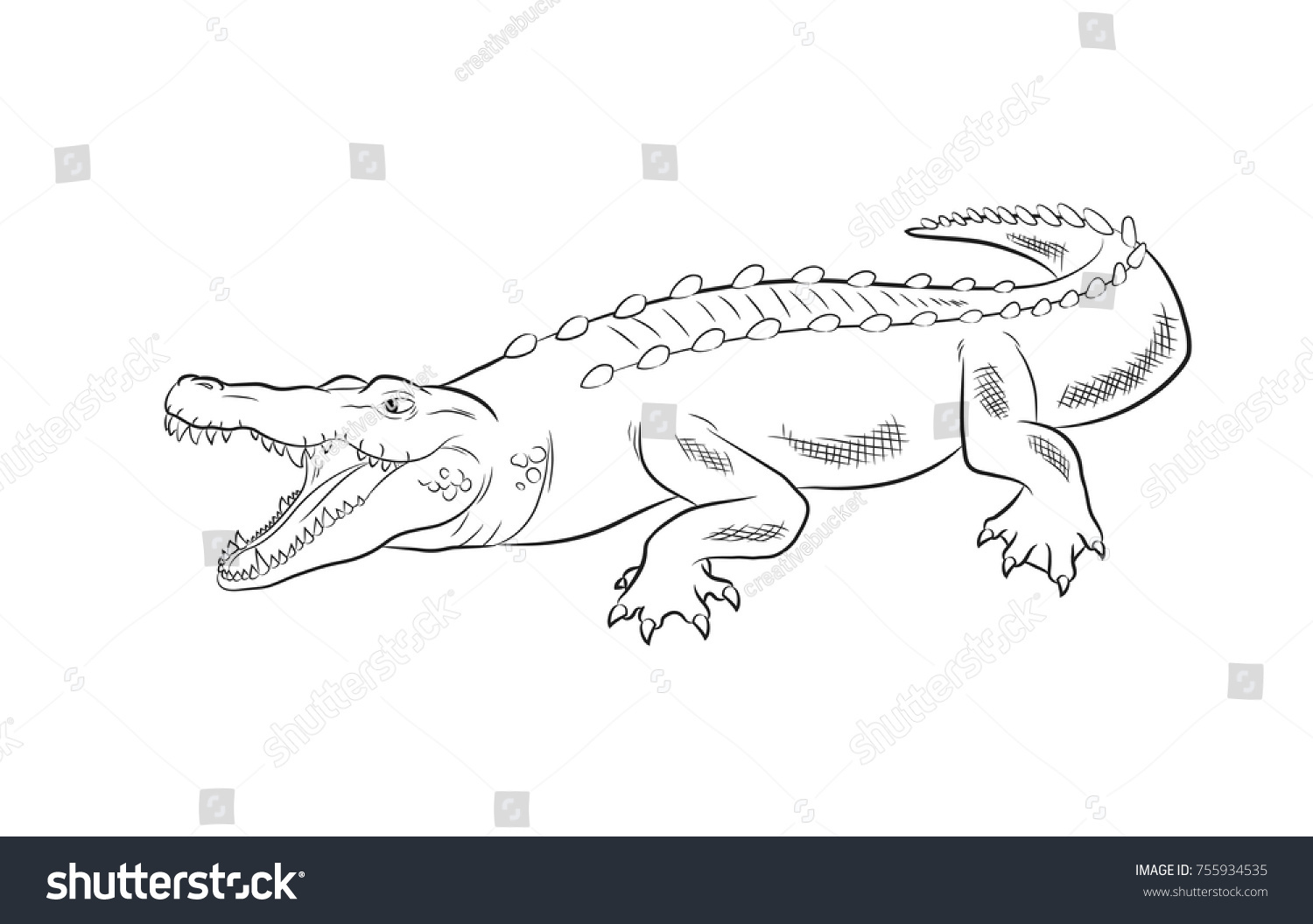 Crocodile Drawing Vector Illustration Stock Vector (Royalty Free ...