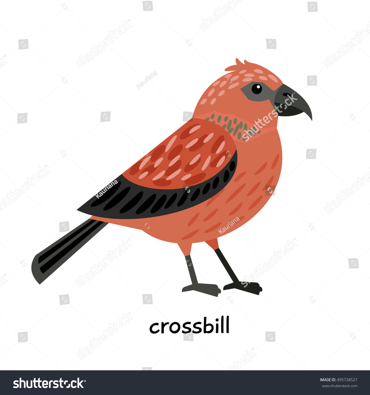 Crossbill Vector Illustration Stock Vector (Royalty Free) 495728527 ...