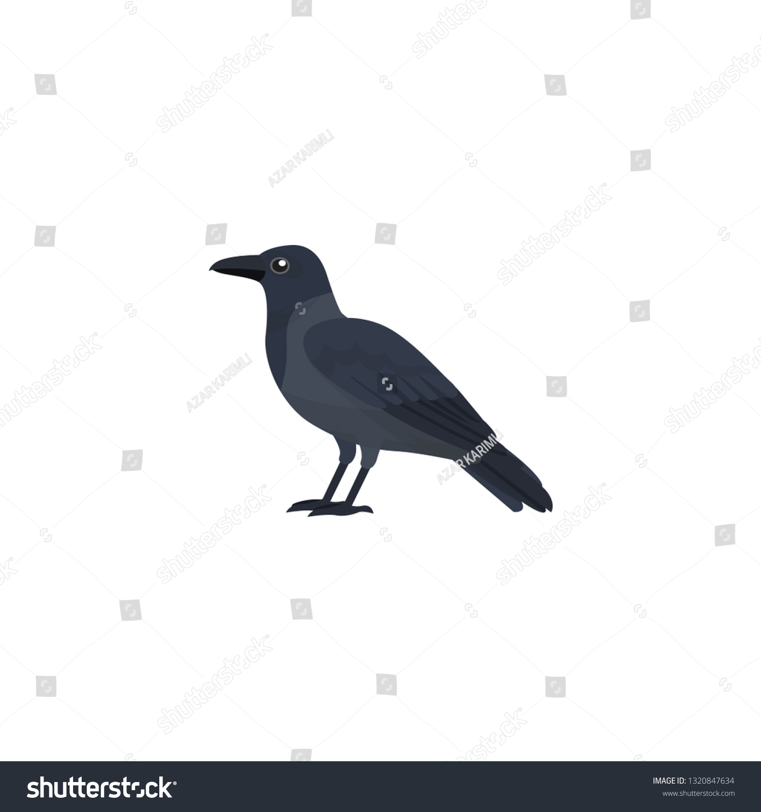 Crow Cartoon Vector On White Background Stock Vector (Royalty Free ...