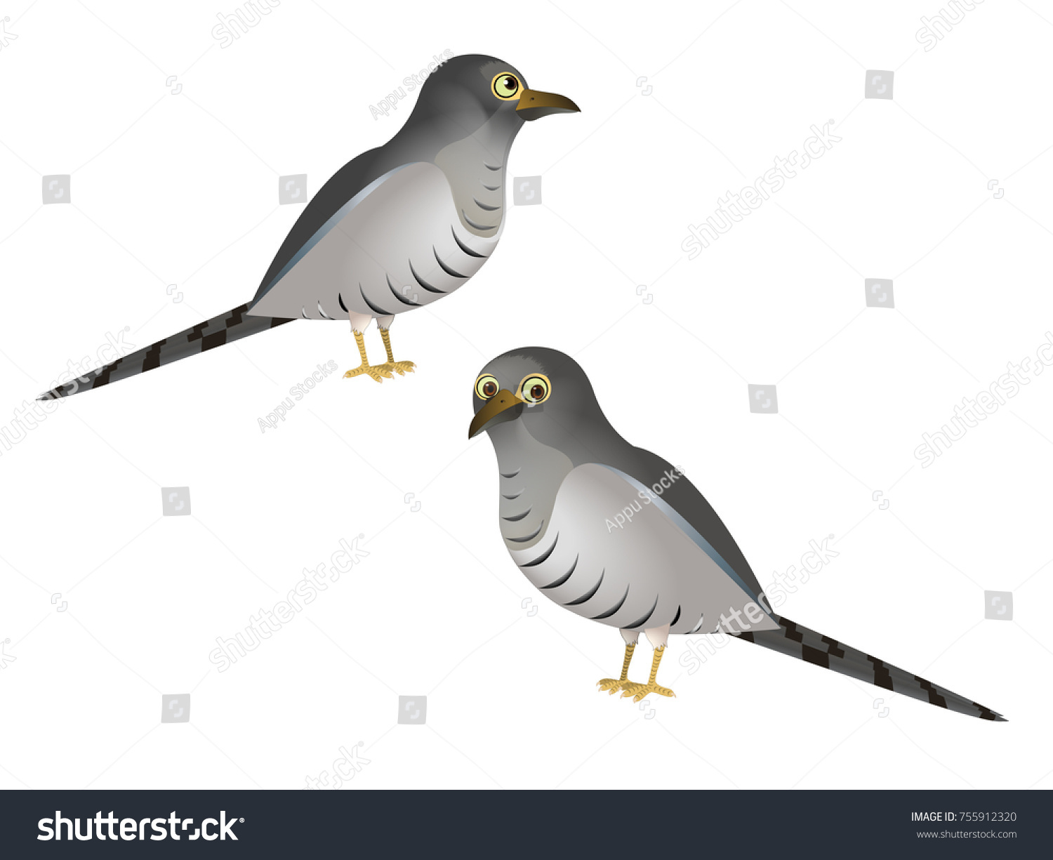 Cuckoo Birds Cartoon Vector Image Stock Vector (Royalty Free) 755912320