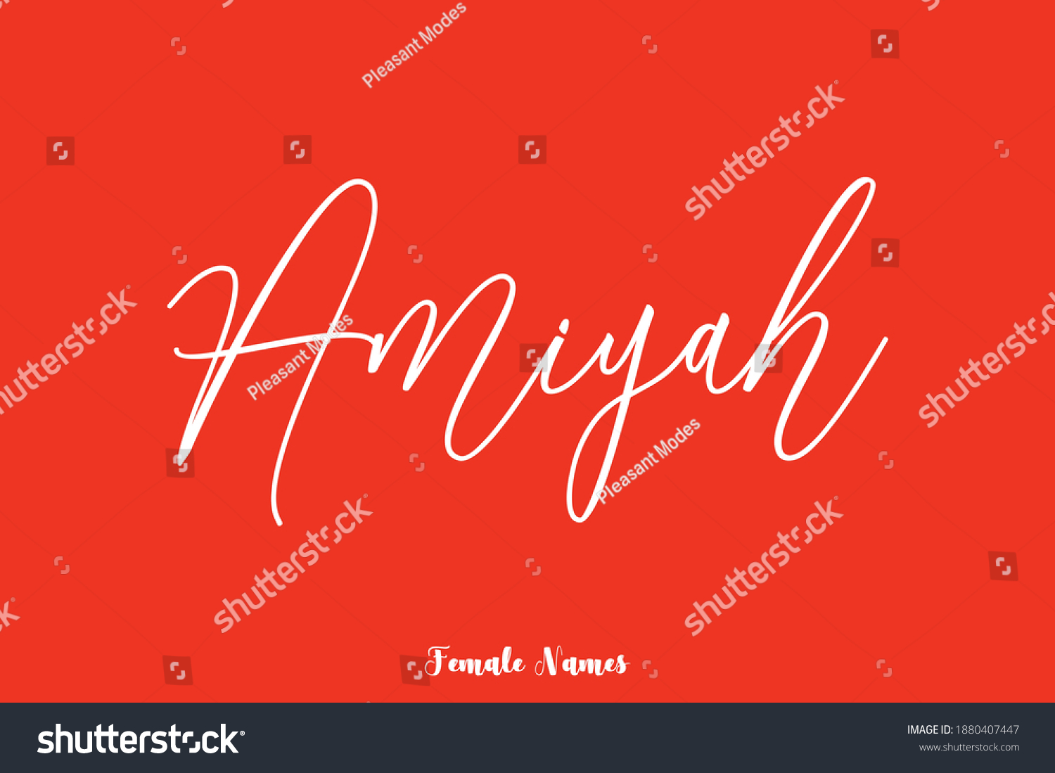 Cursive Handwritten Calligraphy Text Female Name: เวกเตอร์สต็อก (ปลอด ...