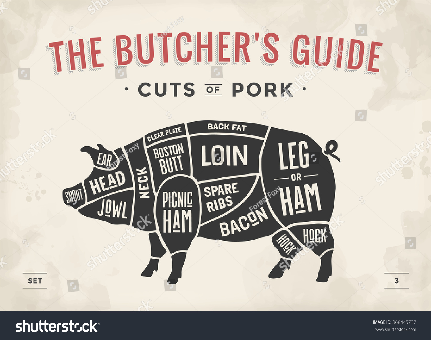 Cut Meat Set Poster Butcher Diagram Stock Vector Royalty Free 368445737 Shutterstock