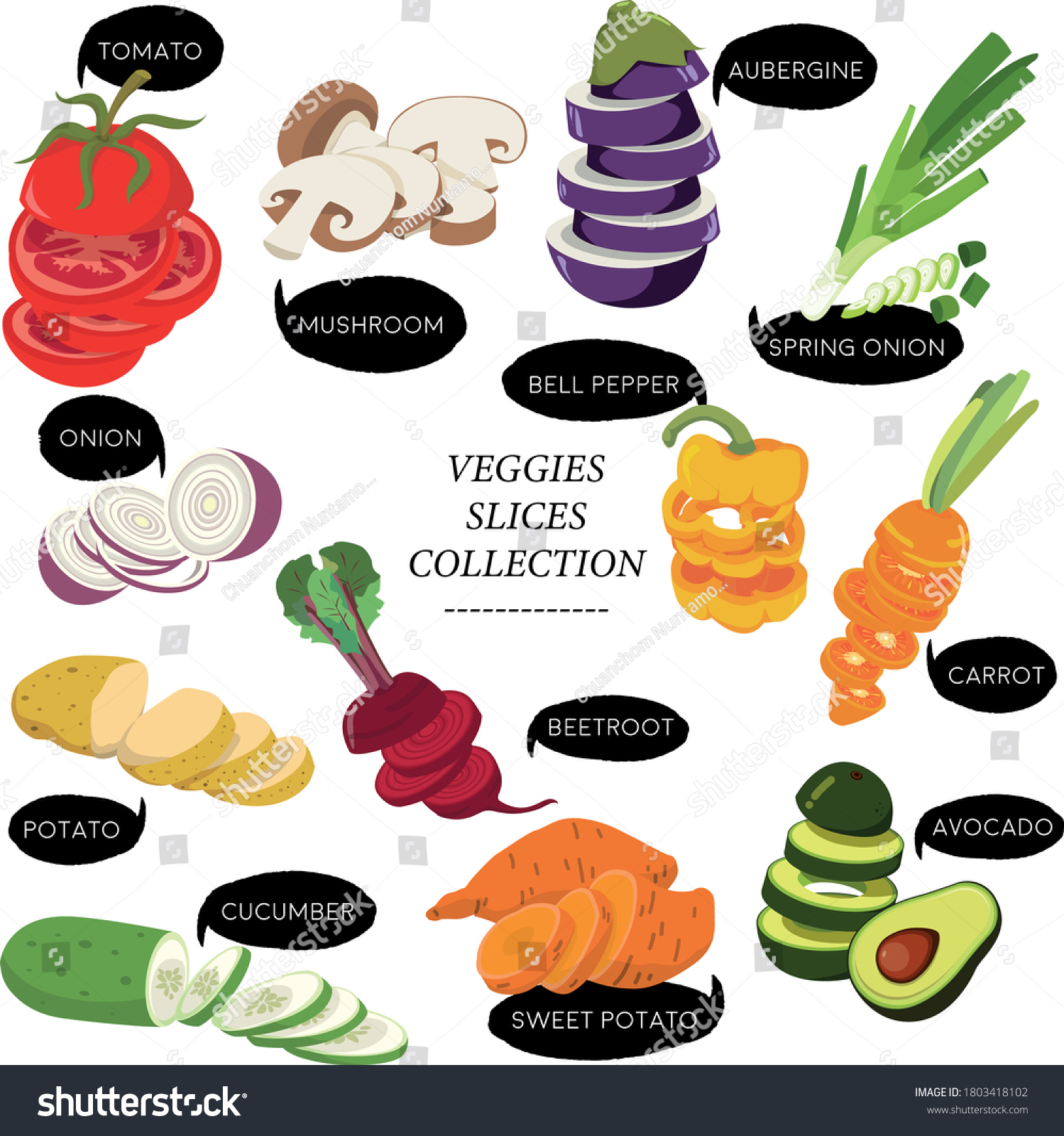 Cut Vegetables Slice Collection Isolated Stock Vector (Royalty Free ...