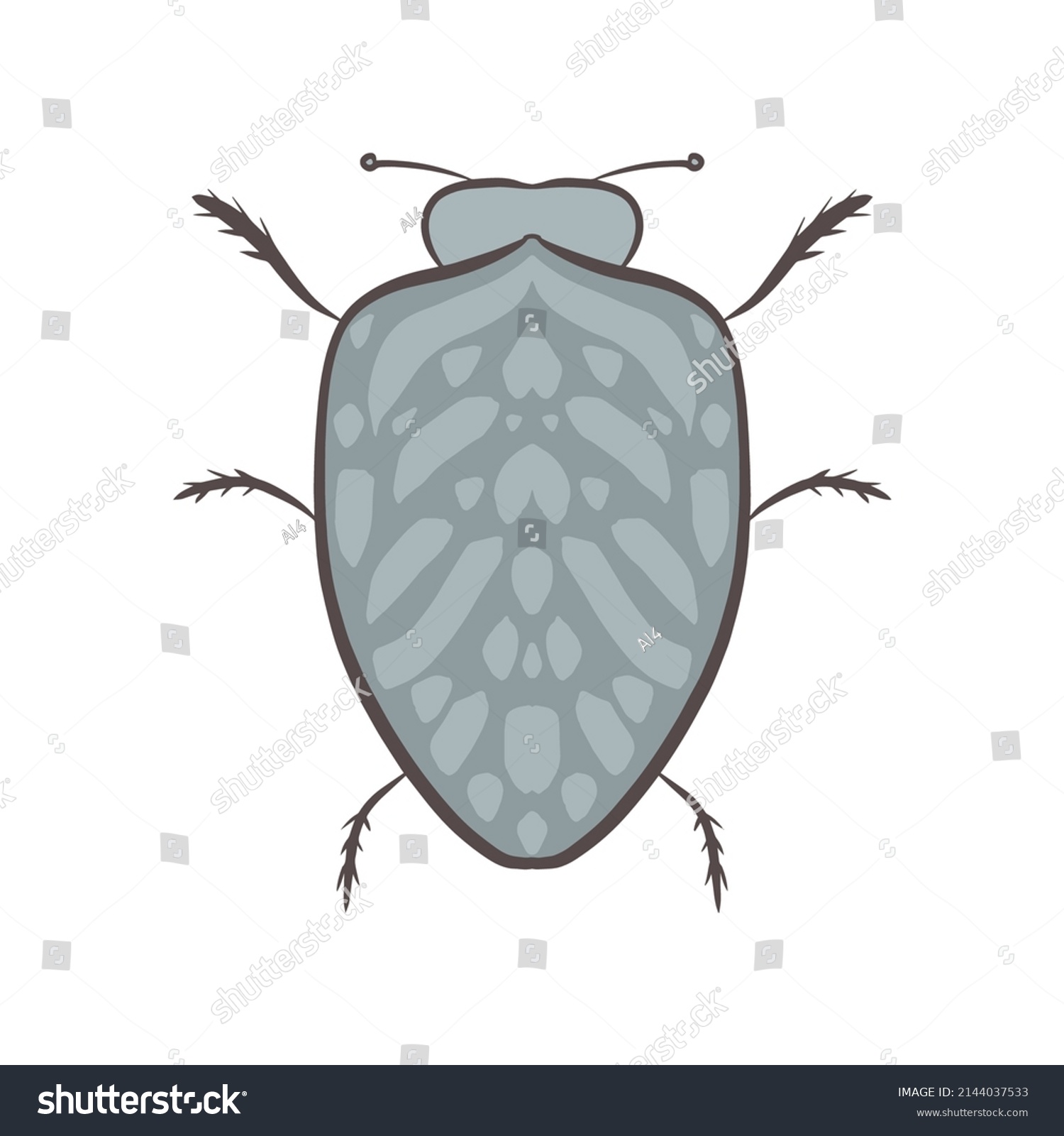 Cute Blue Beetle Summer Spring Nature Stock Vector (Royalty Free ...