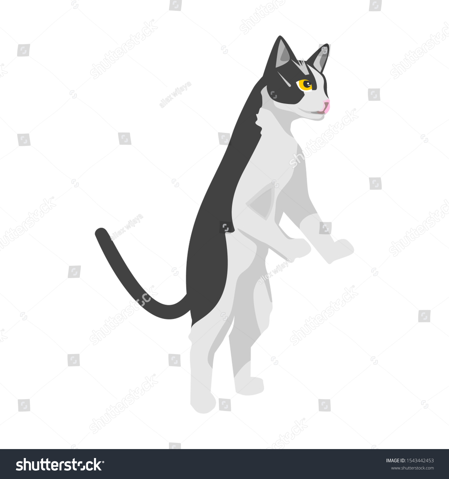 Cute Cartoon Cat White Background Vector: เวกเตอร์สต็อก (ปลอดค่า ...