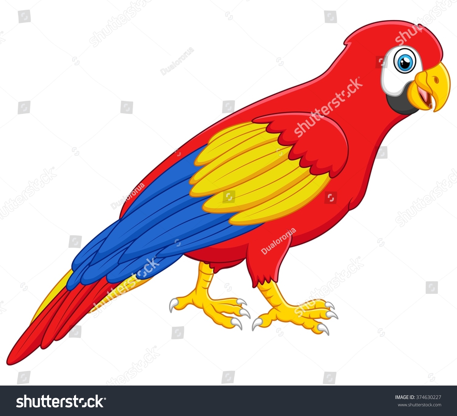 Cute Macaw Bird Cartoon Posing Stock Vector (Royalty Free) 374630227 ...