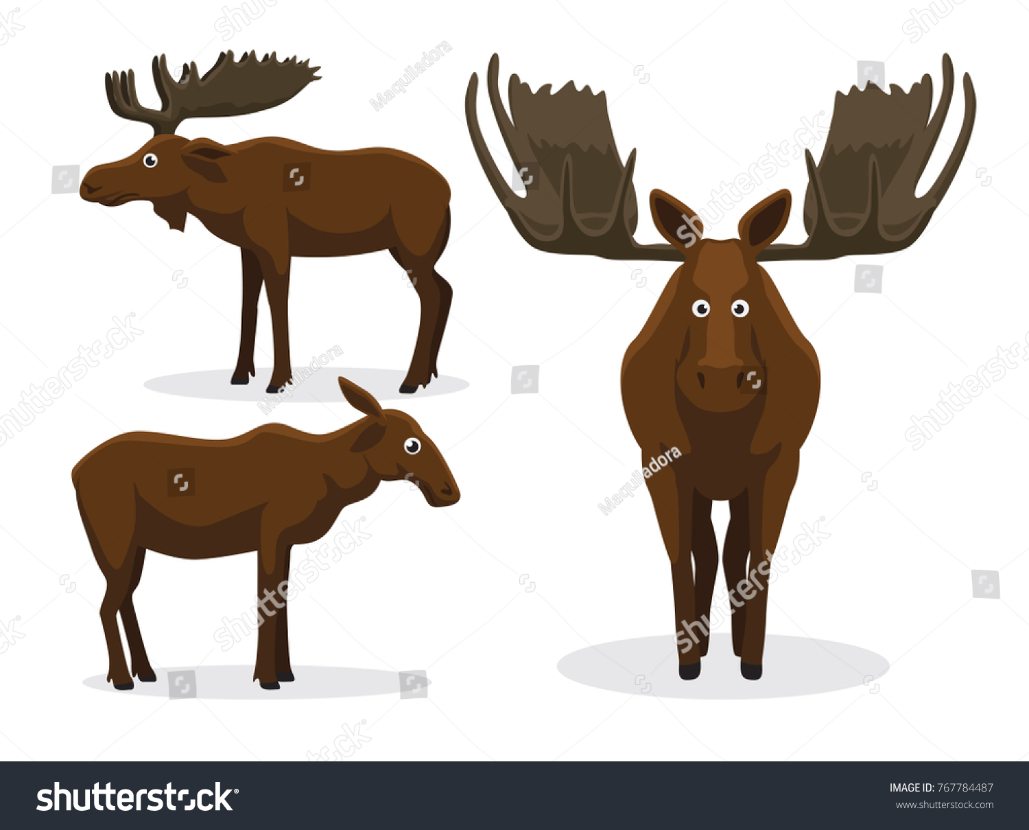 300 Moose front Stock Illustrations, Images & Vectors | Shutterstock