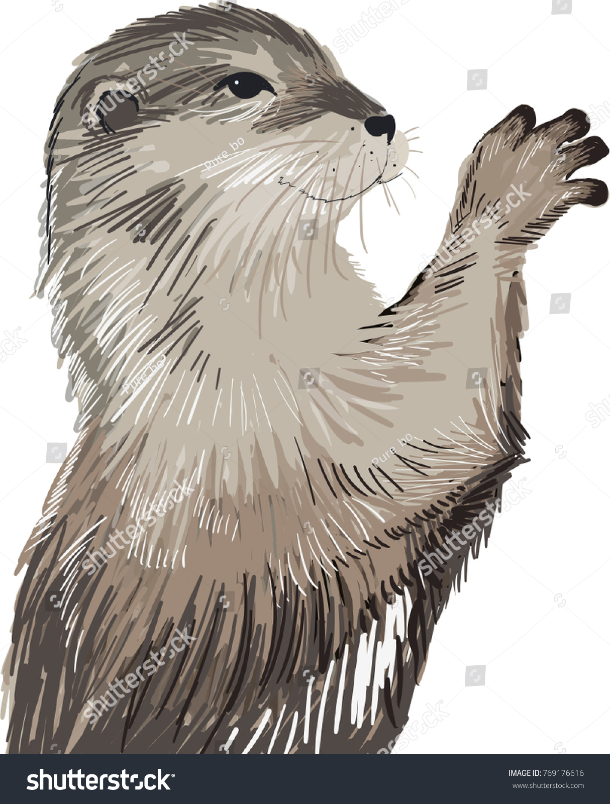 Cute Otter Drawn Vector Stock Vector (Royalty Free) 769176616