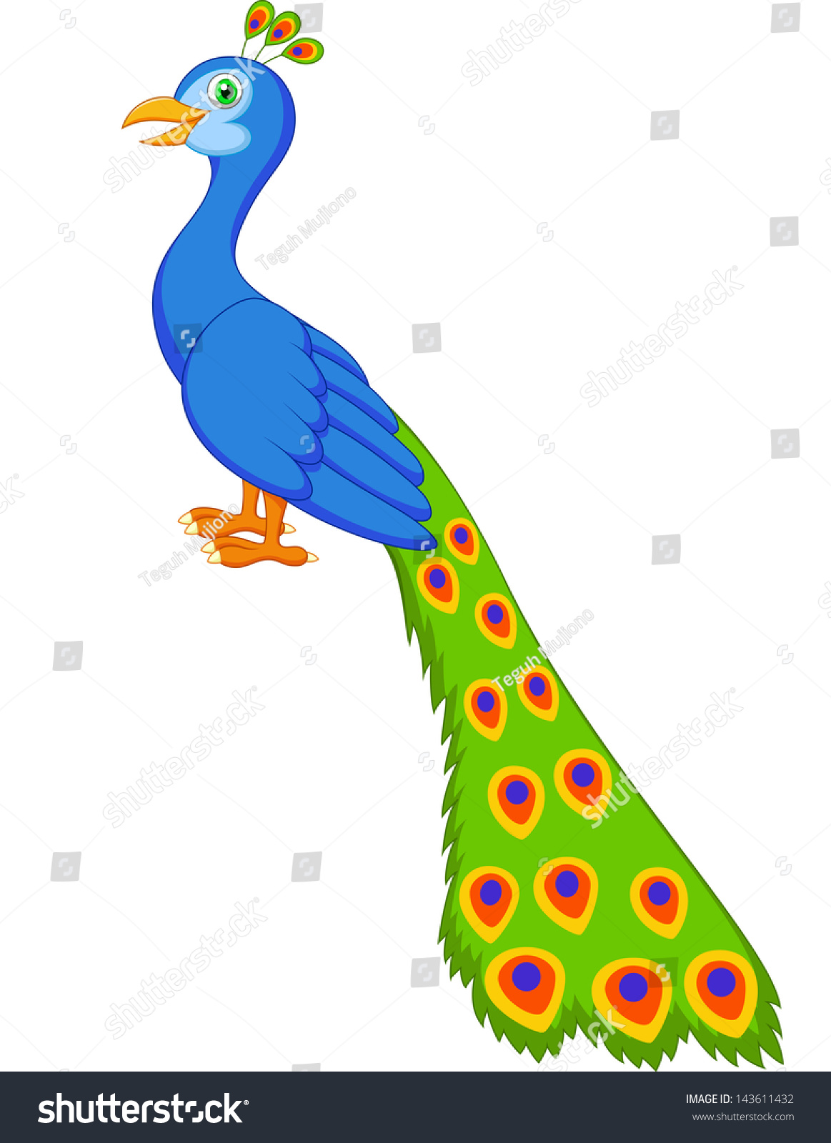 Cute Peacock Cartoon Stock Vector (Royalty Free) 143611432