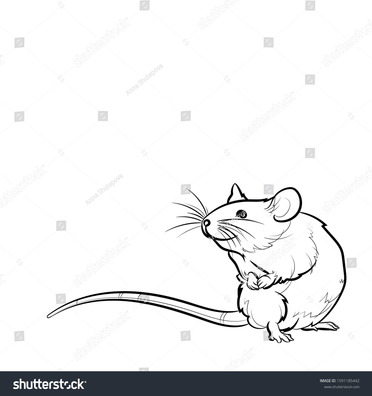Cute Rat Line Drawing Vector Illustration: เวกเตอร์สต็อก (ปลอดค่า ...
