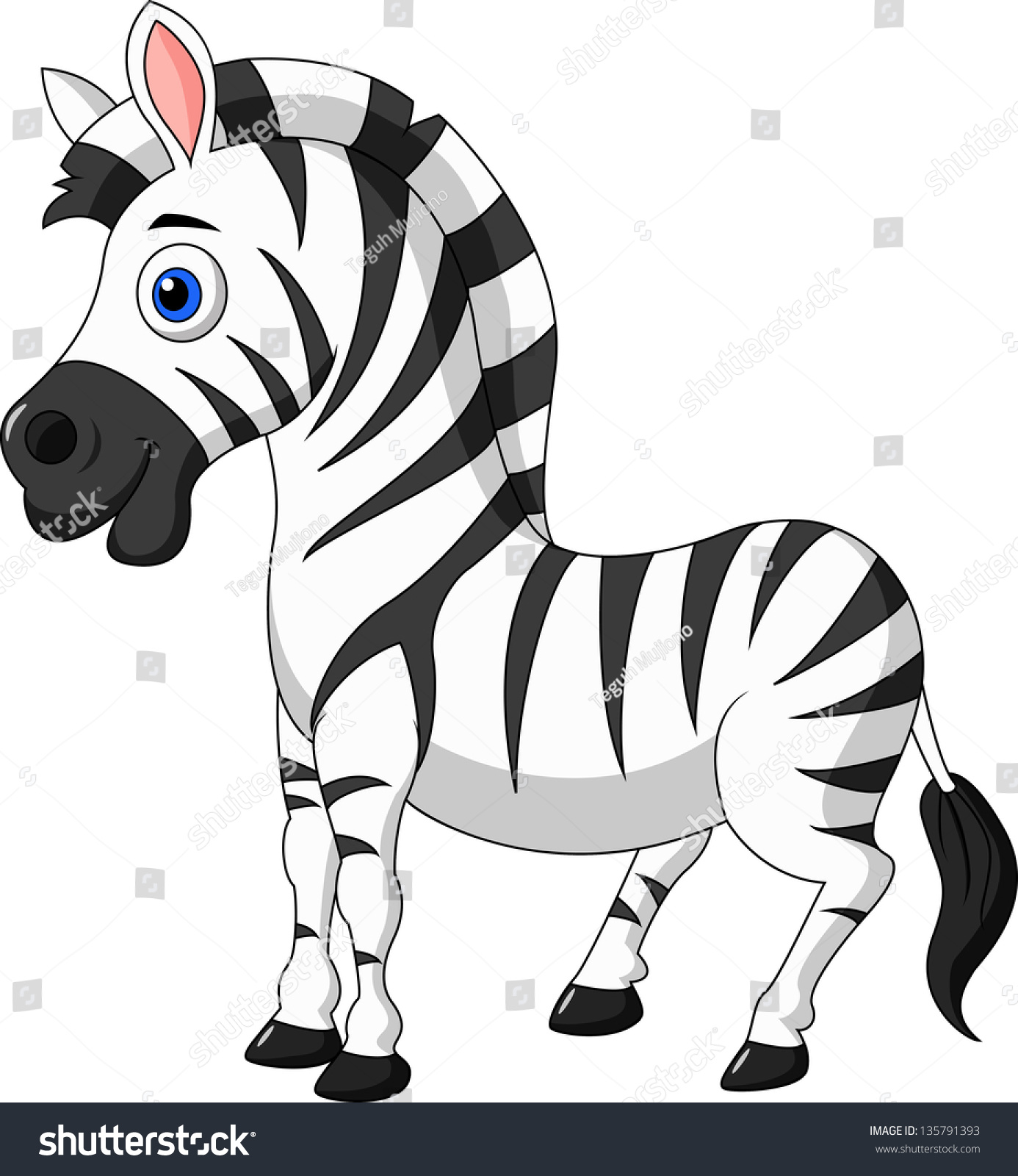 Cute Zebra Cartoon Stock Vector Illustration 135791393 : Shutterstock