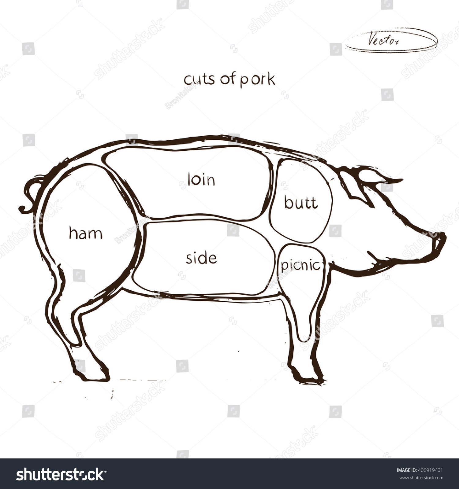 Cuts Pork Diagram Vintage Style Butcher Stock Vector Royalty Free