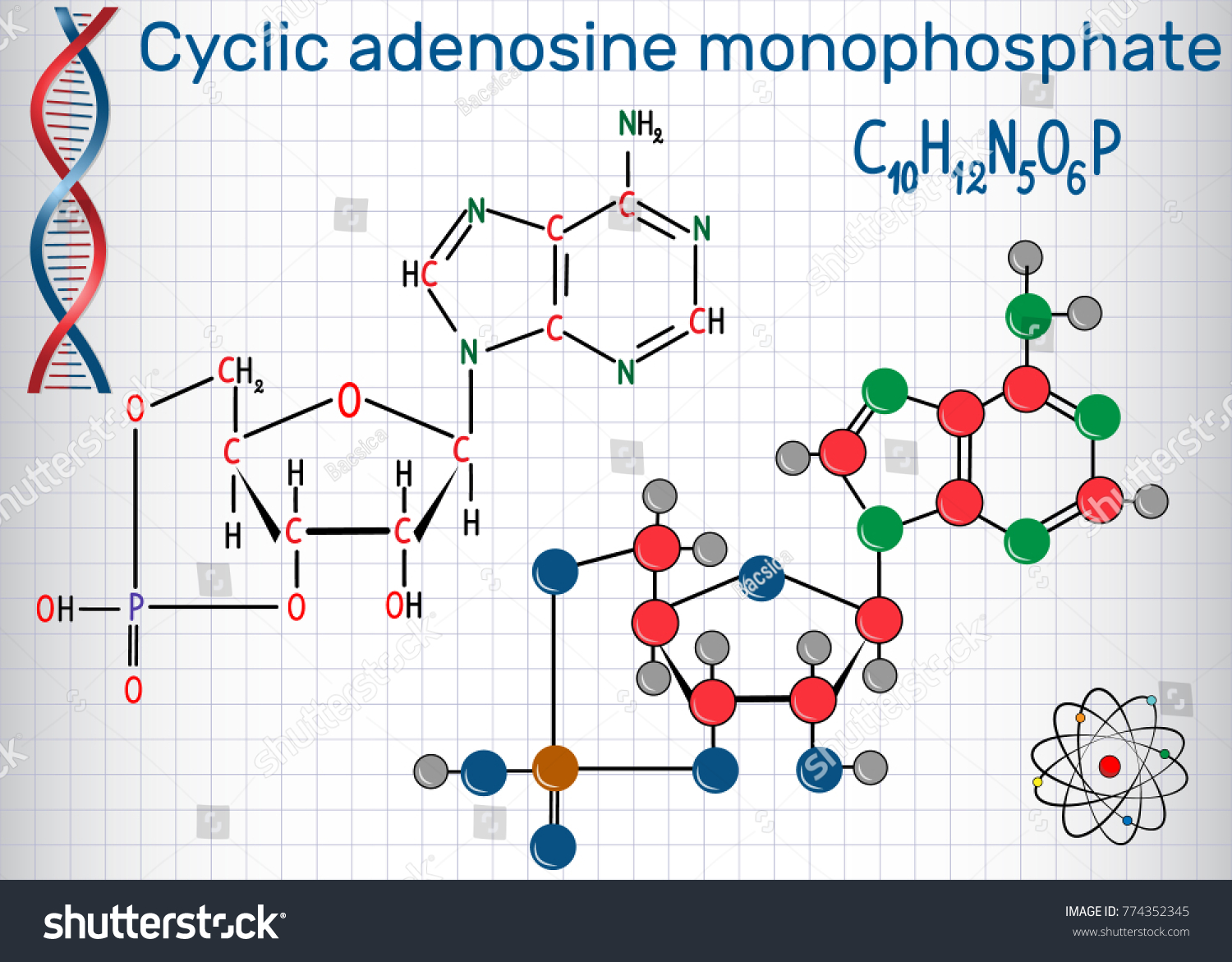 Cyclic Adenosine Monophosphate Camp Molecule Used Stock Vector (Royalty ... Cyclic Adenosine Monophosphate Camp Molecule Used Stock Vector (Royalty ...