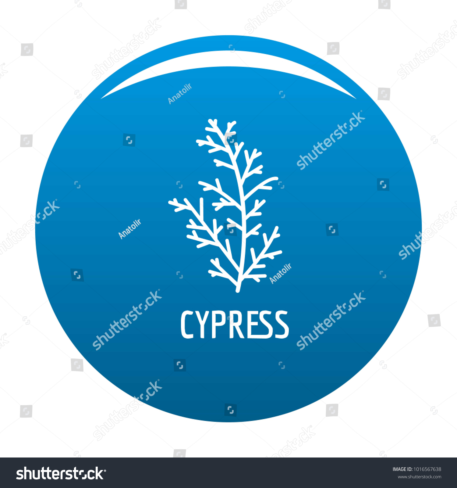 Cypress Leaf Icon Vector Blue Circle Stock Vector (Royalty Free ...