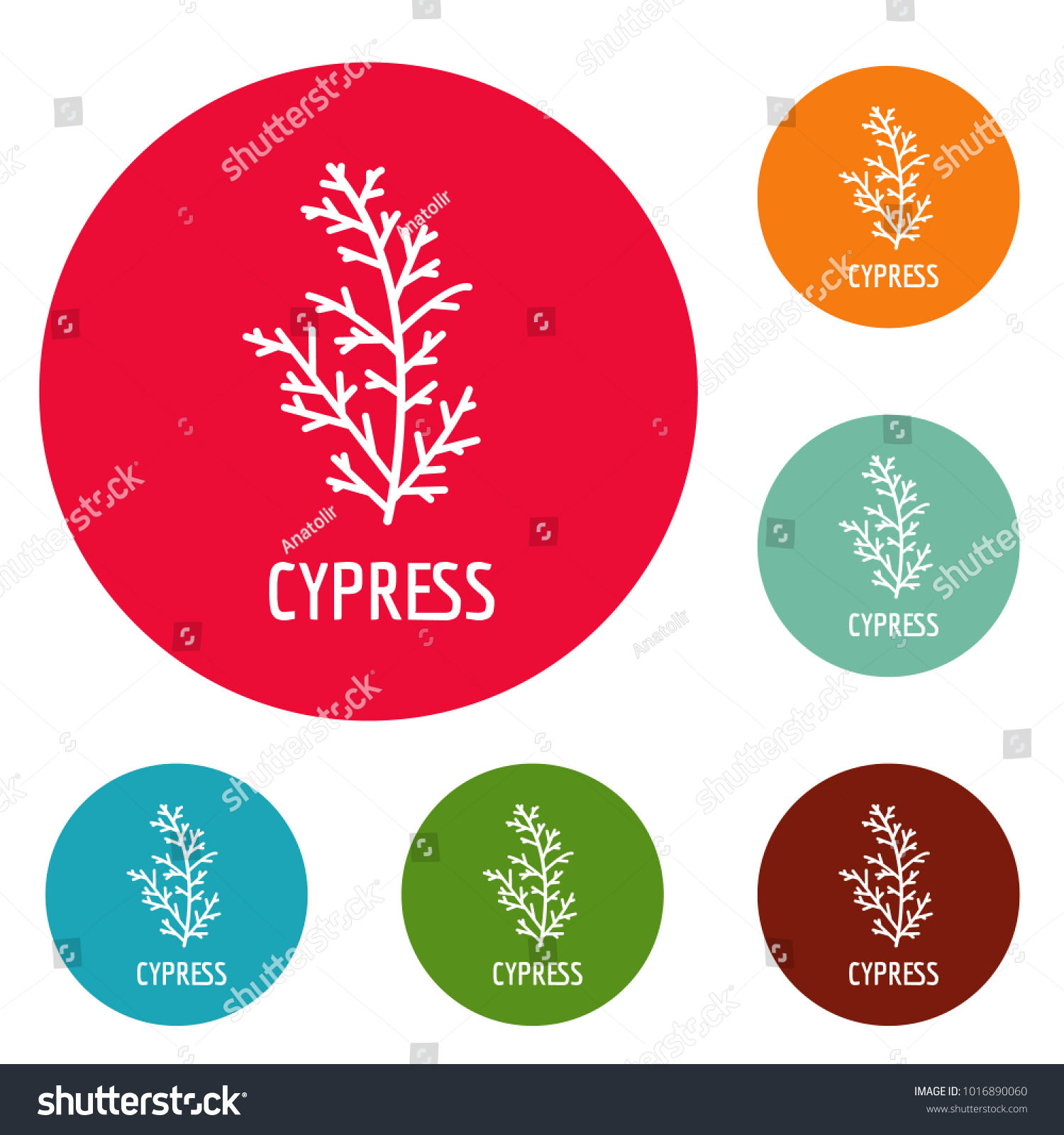 Cypress Leaf Icons Circle Set Vector Stock Vector (Royalty Free ...