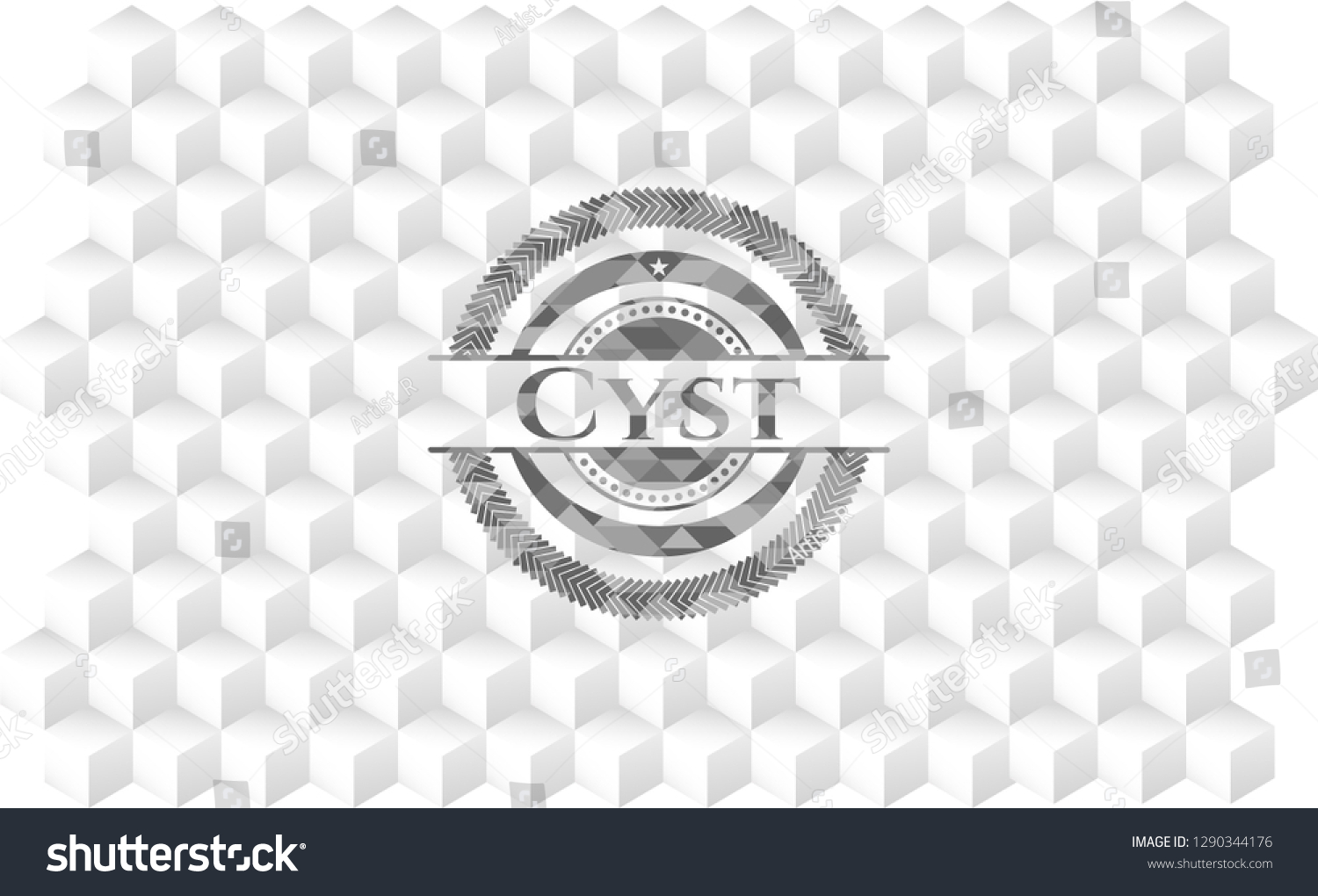 Cyst Grey Emblem Cube White Background Stock Vector (Royalty Free ...
