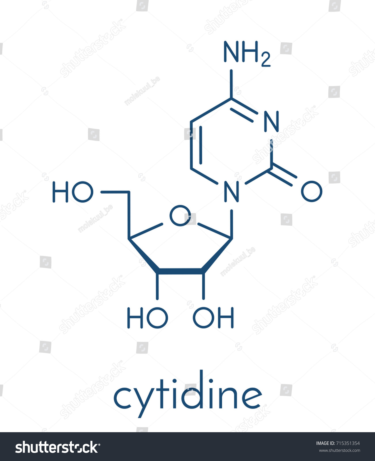 Cytidine Rna Building Block Molecule Skeletal Stock Vector Royalty