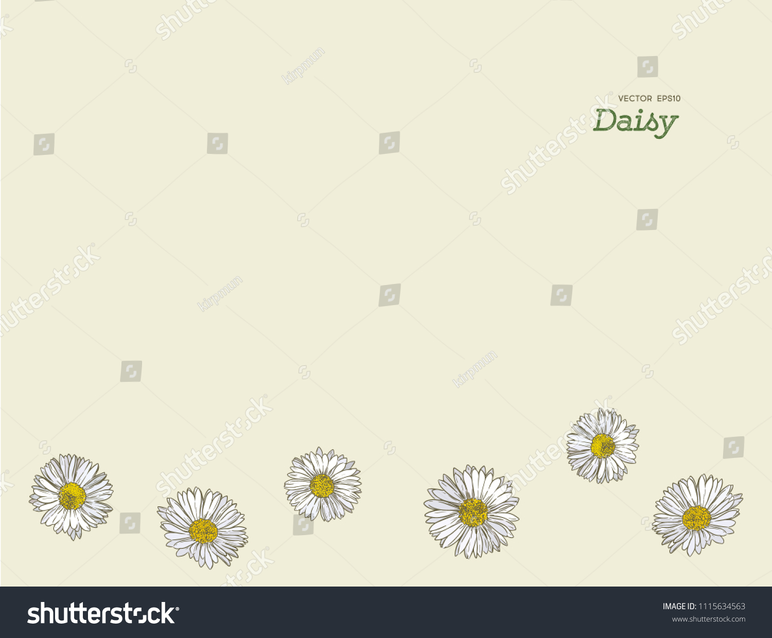 Daisy Common Daisy Hand Draw Sketch Stock Vector (Royalty Free ...