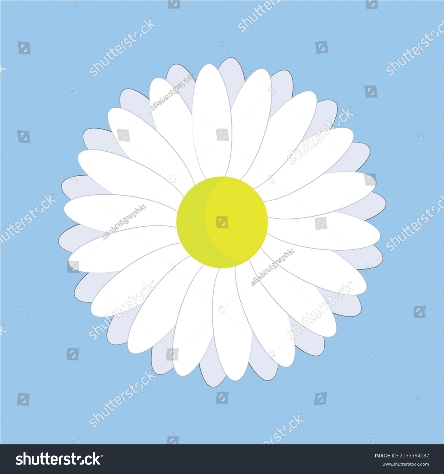 Daisy Flower Blue Background Stock Vector (Royalty Free) 2155564187 ...