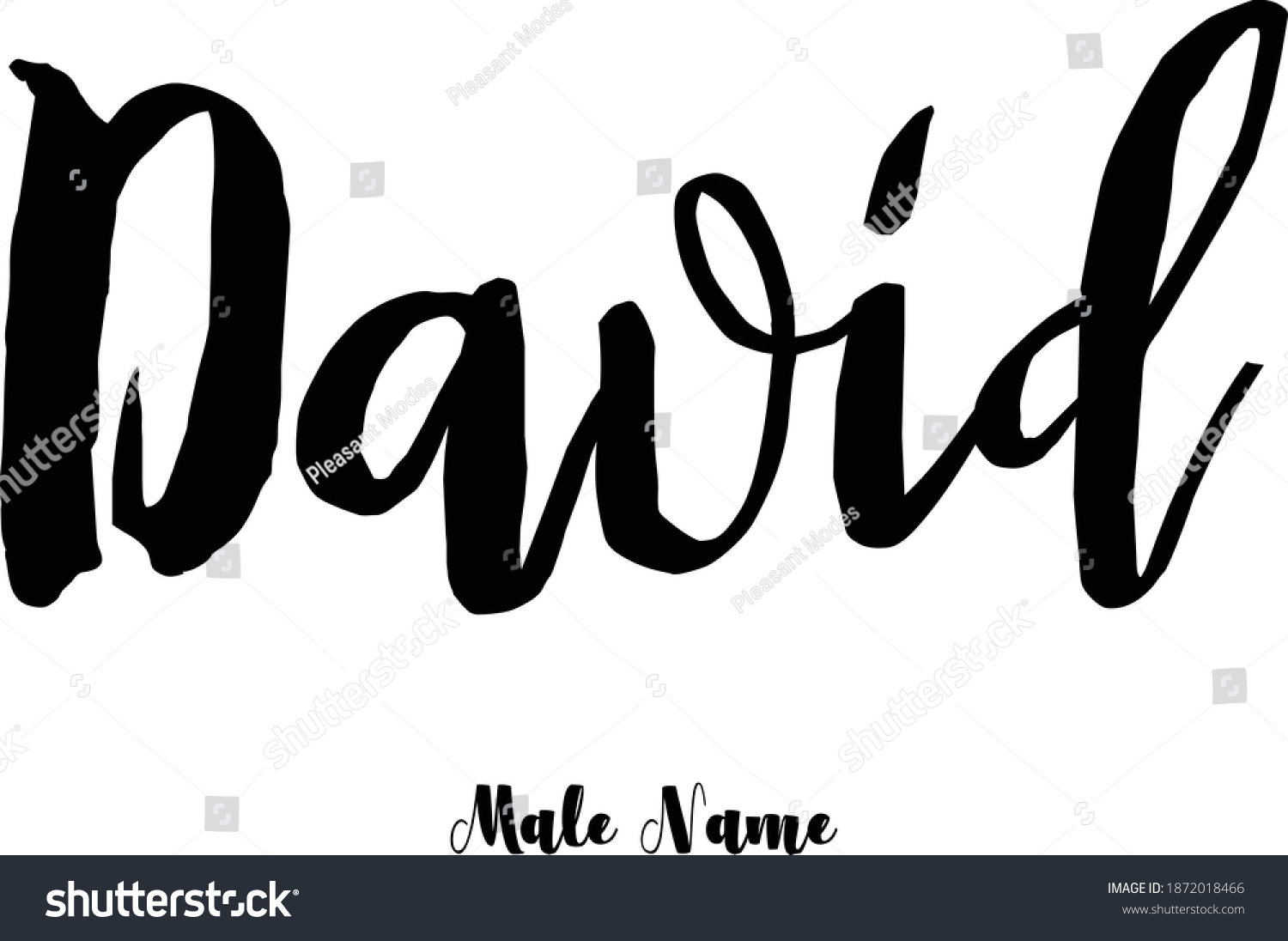 Davidmale Name Bold Cursive Calligraphy Typeface: เวกเตอร์สต็อก (ปลอด ...