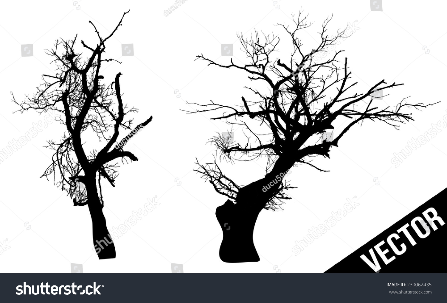 Dead Trees On White Background Vector Stock Vector (Royalty Free ...