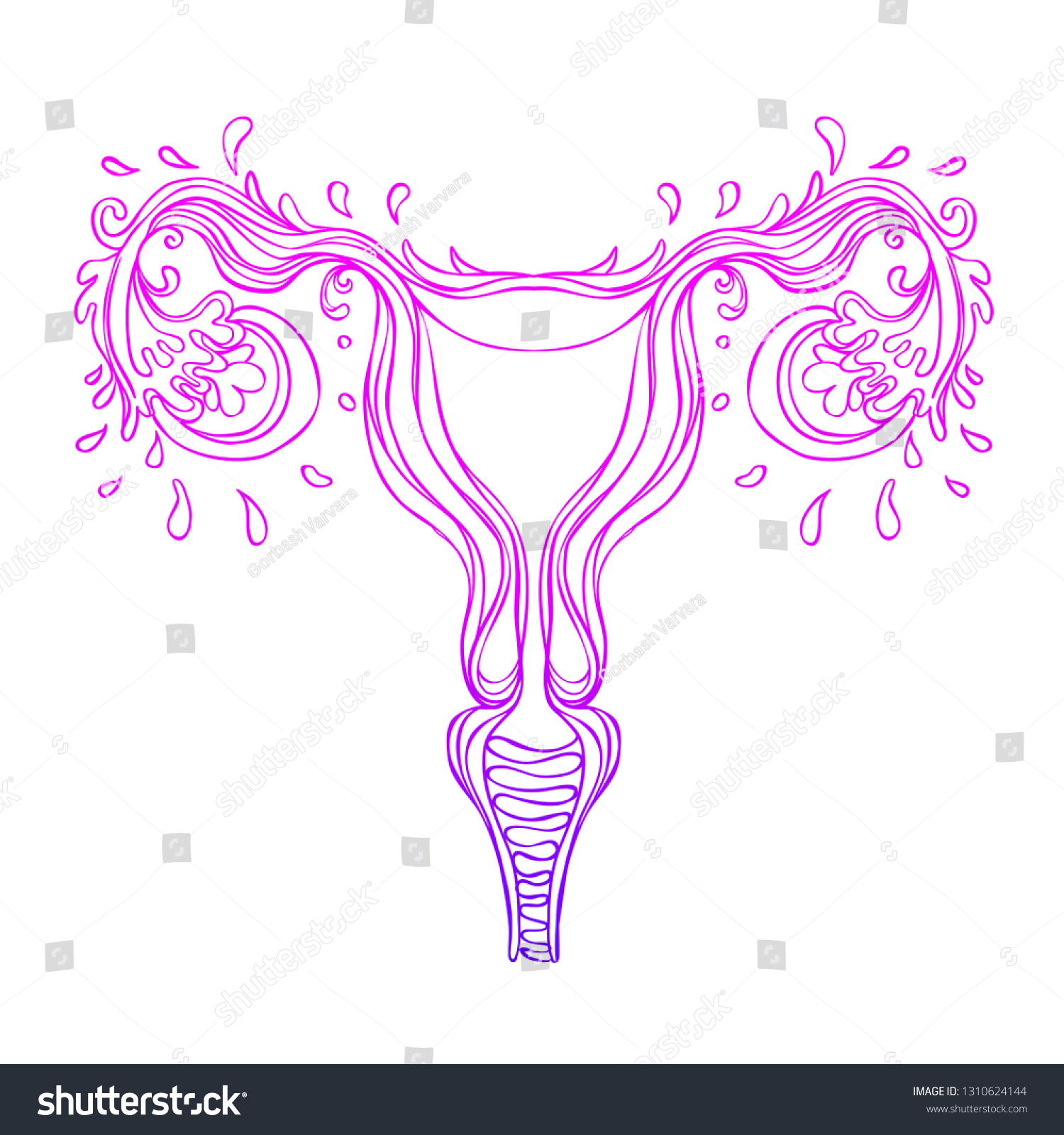 Decorative Drawing Female Reproductive System Flowers Stock Vector