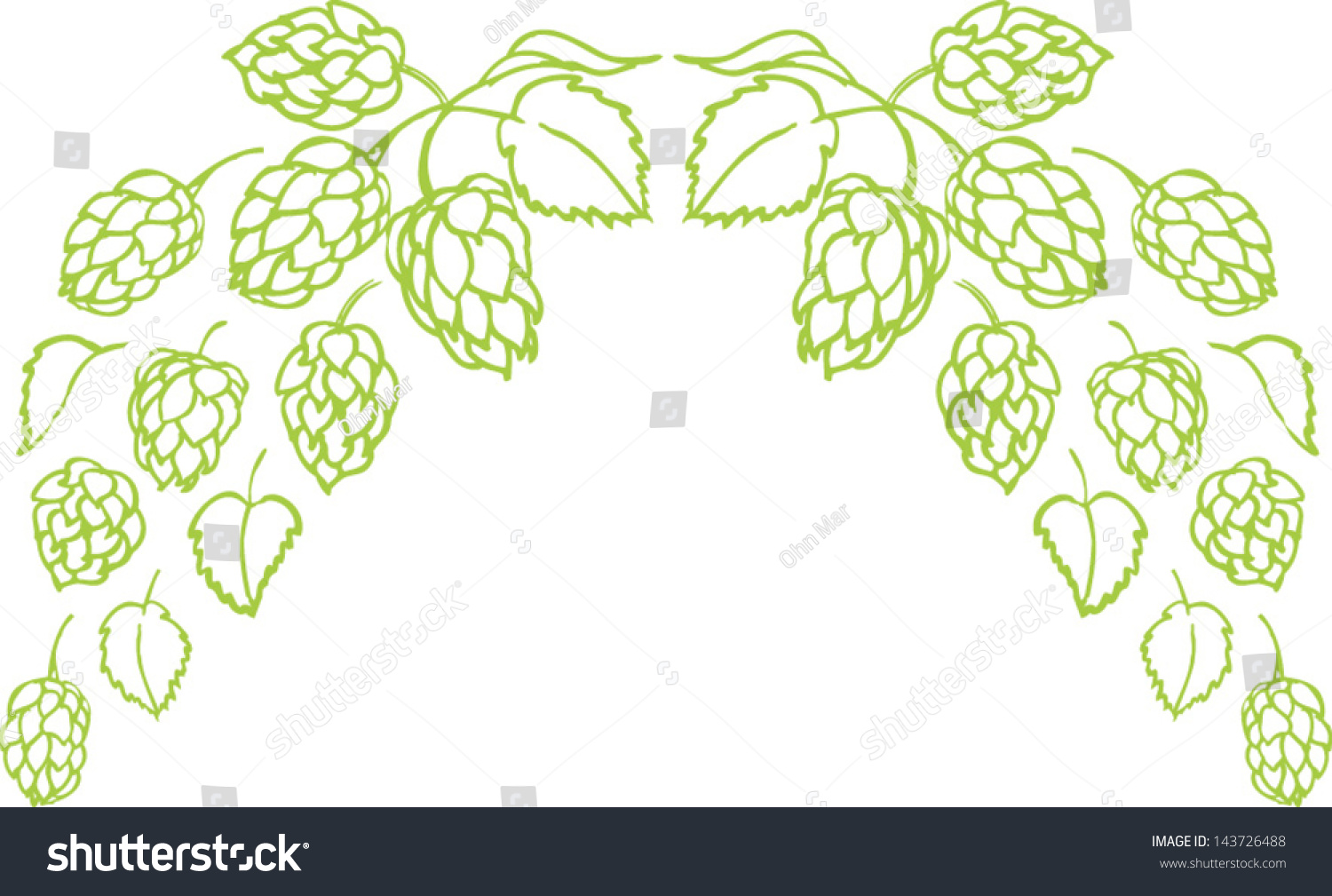 Decorative Hops Vector Illustration Border Stock Vector (Royalty Free ...