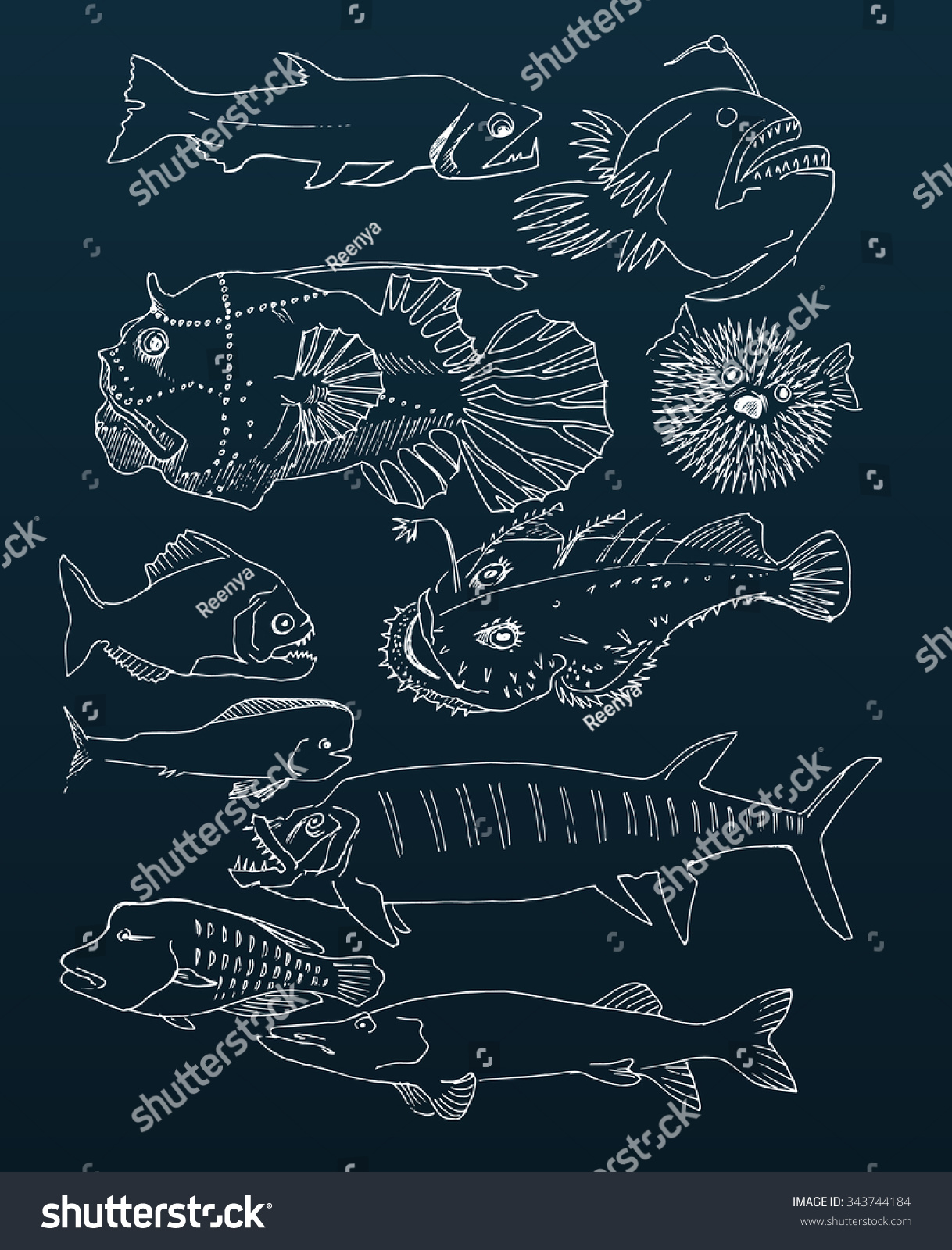 Deepsea Fish Hand Drawn: vector de stock (libre de regalías) 343744184 ...