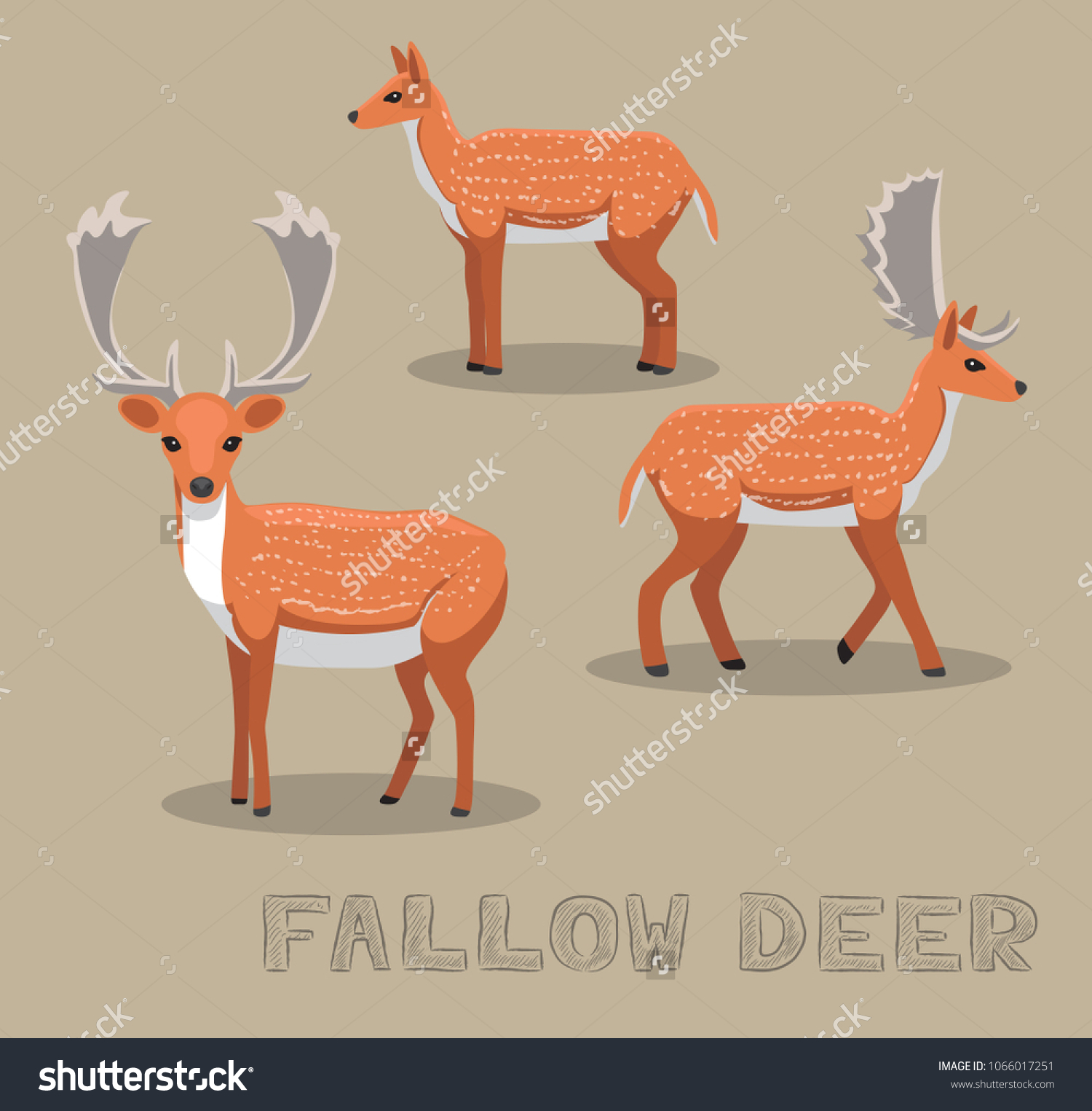 Deer Fallow Cartoon Vector Illustration Stock Vector (Royalty Free ...