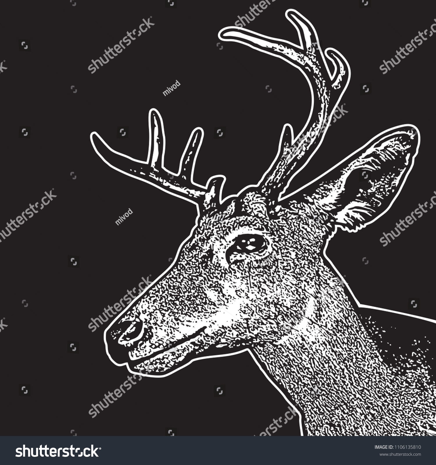 Deer Head Graphic Engraving Illustration Isolated Stock Vector (Royalty ... Deer Head Graphic Engraving Illustration Isolated Stock Vector (Royalty ...