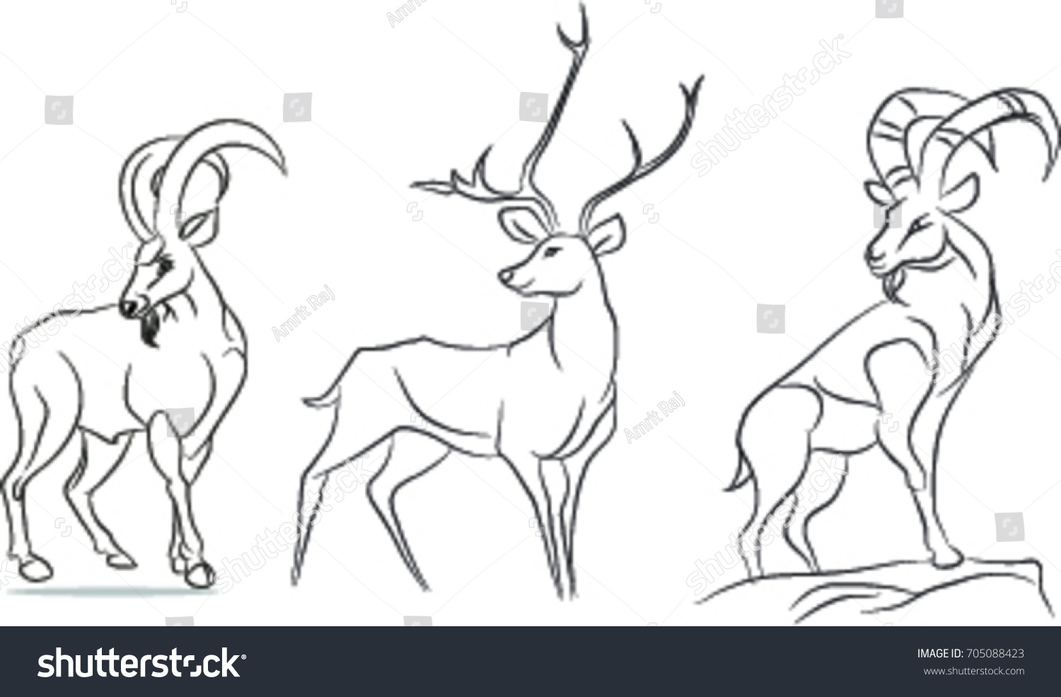 Deer Line Art Stock Vector (Royalty Free) 705088423 | Shutterstock