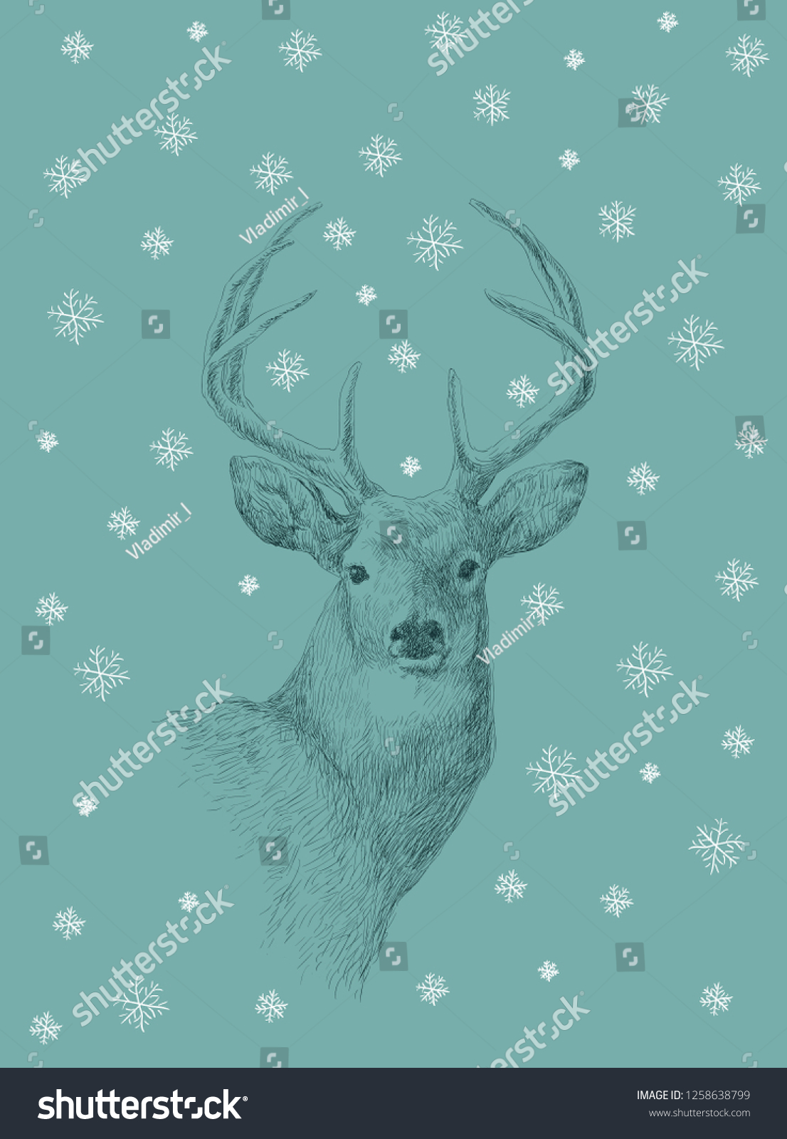 Deer Portrait Front View Vector Drawing Stock Vector (Royalty Free ...