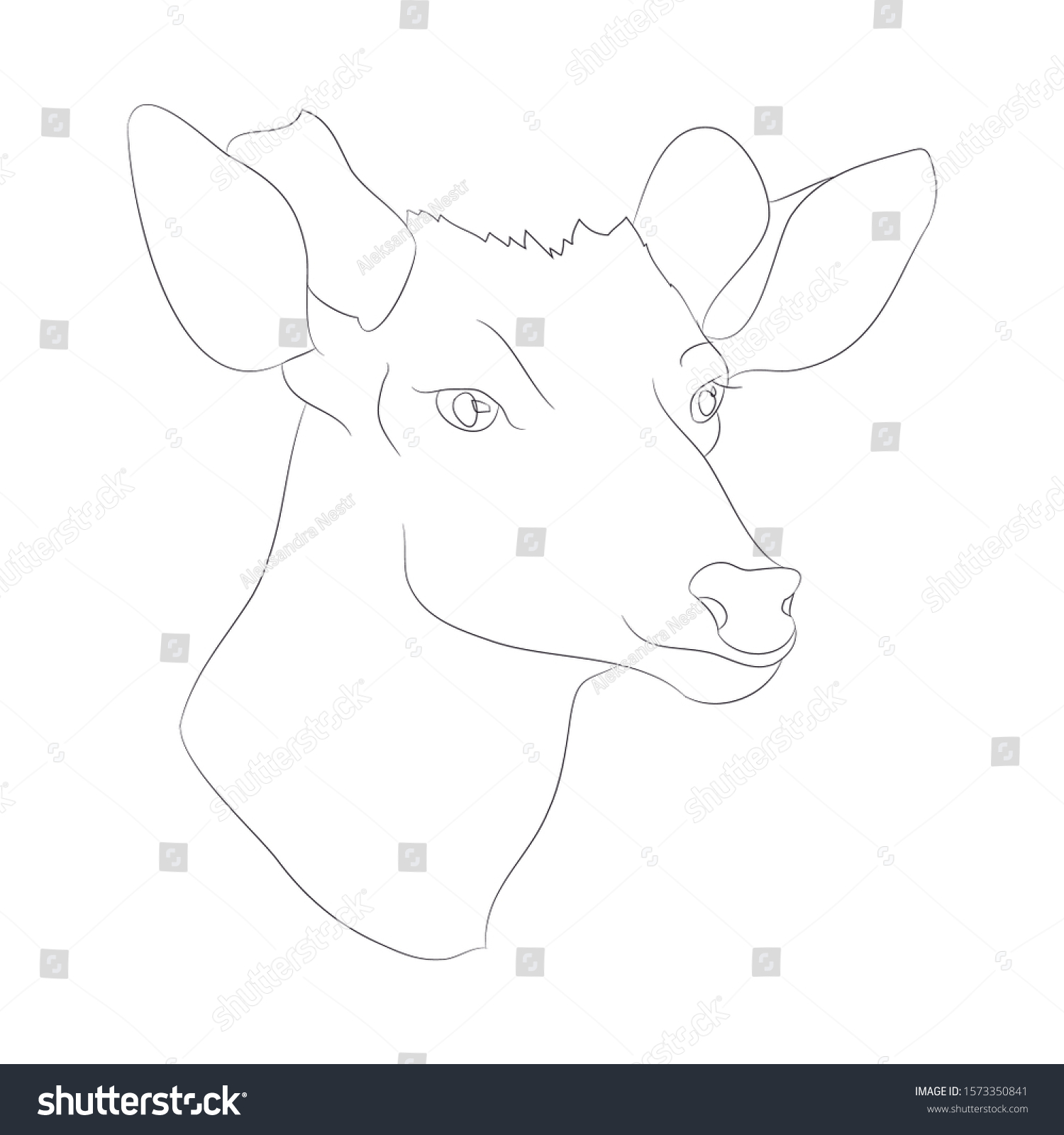 Deer Portrait Vector Illustration Line Drawing Stock Vector (Royalty ...