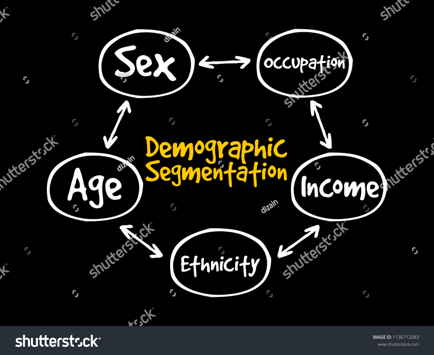 Demographic Segmentation Mind Map Flowchart Social 库存矢量图（免版税）1136712083 ...