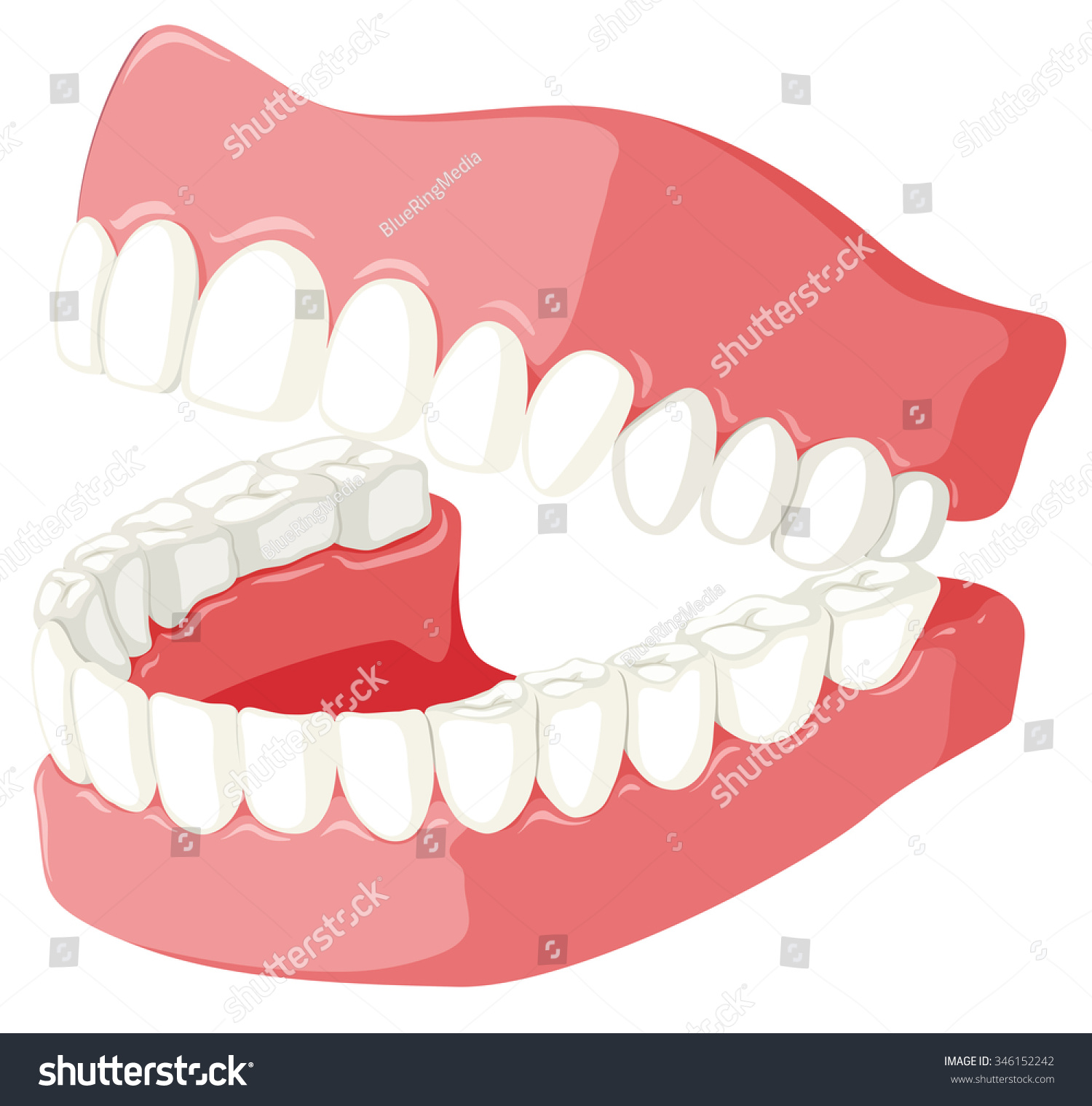 32 imágenes de Dental theme with teeth model illustration - Imágenes ...