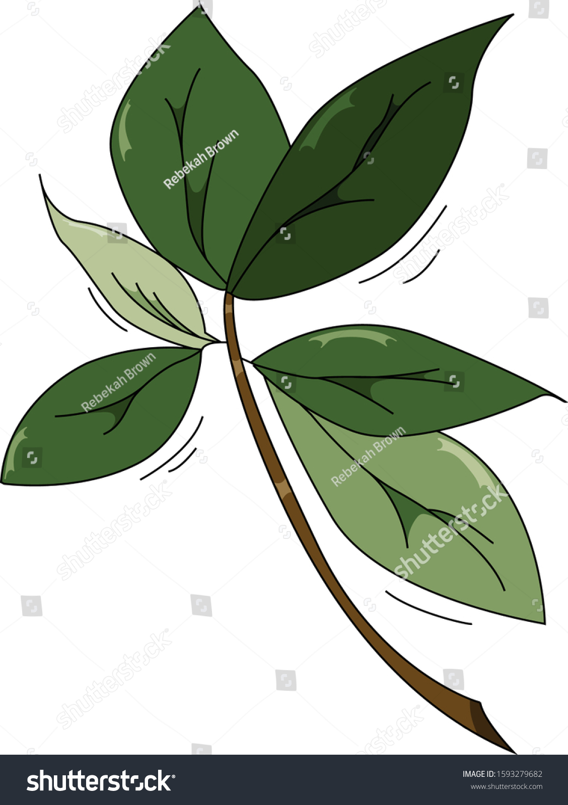 Detailed Cartoon Leaf Vector Plant Stock Vector (Royalty Free ...