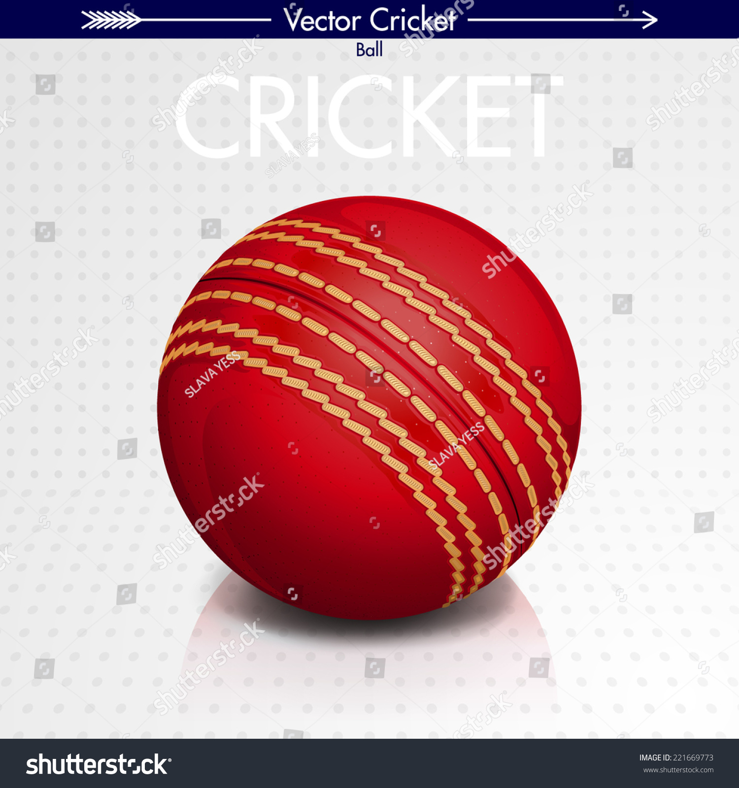 Detailed Cricket Ball Stock Vector (Royalty Free) 221669773 | Shutterstock