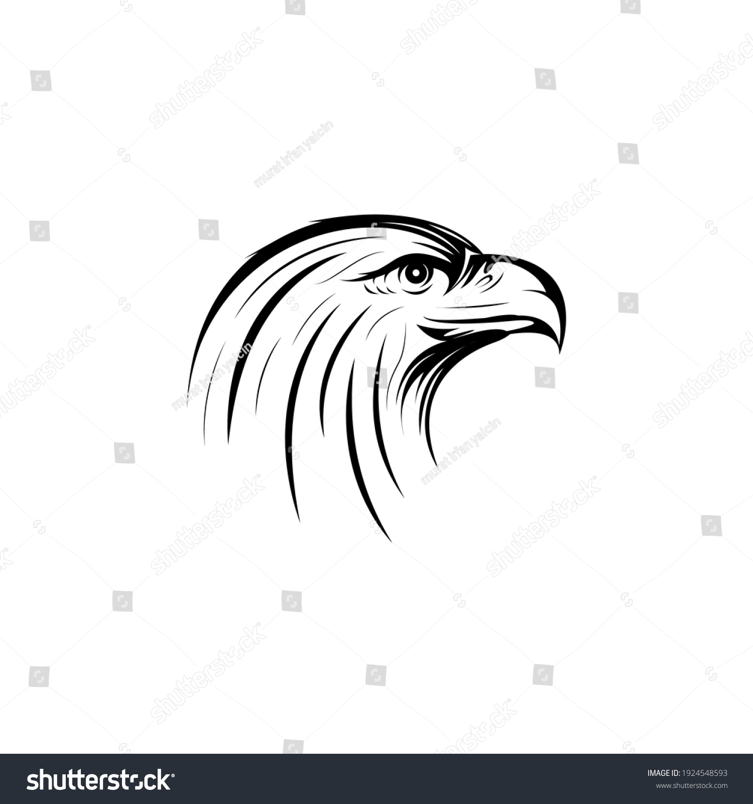 Detailed Eagle Head Drawing Vector Stock Vector (Royalty Free) 1924548593