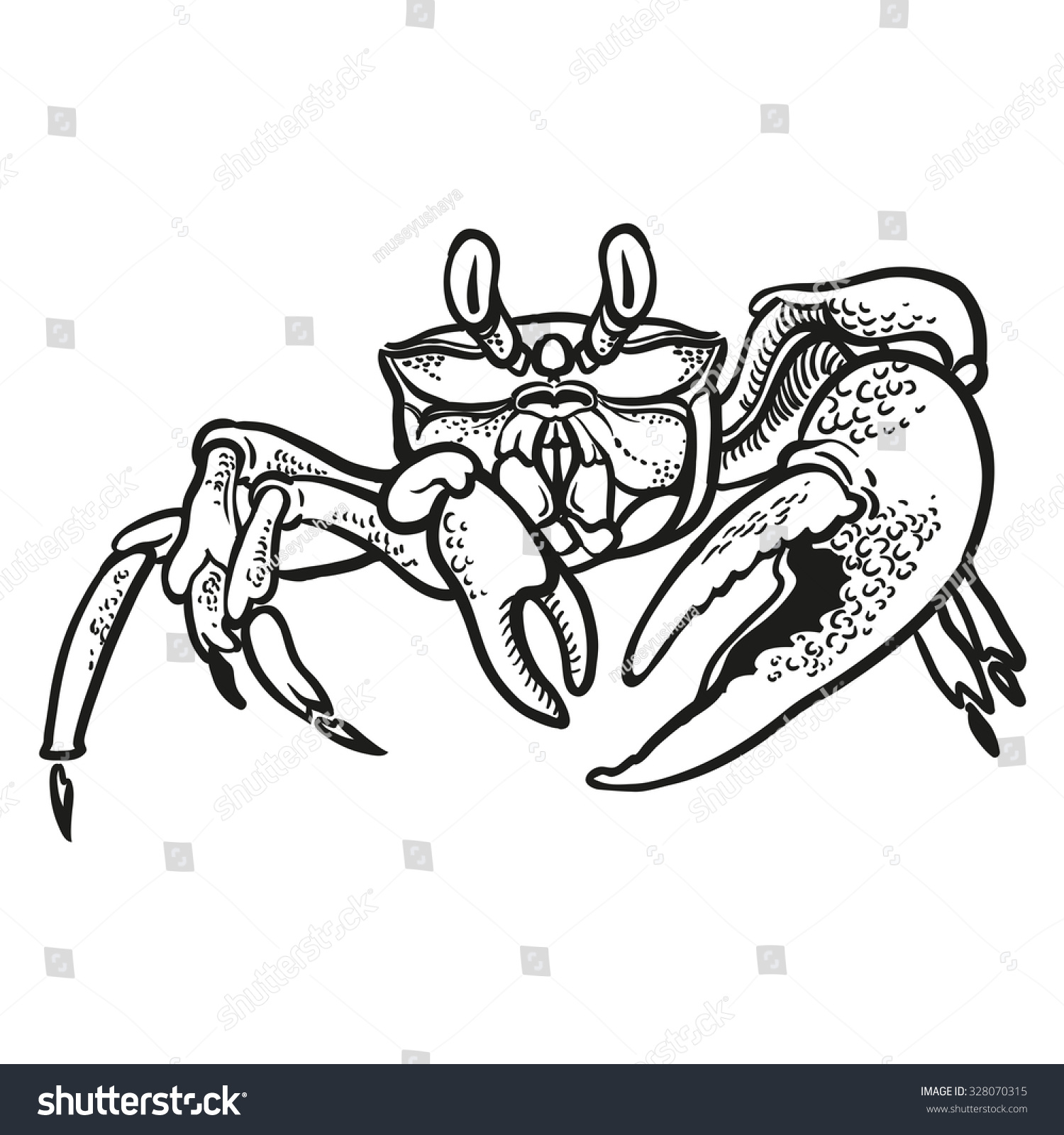 Detailed Hand Drawing Crab Vector Stock Vector (Royalty Free) 328070315 ...