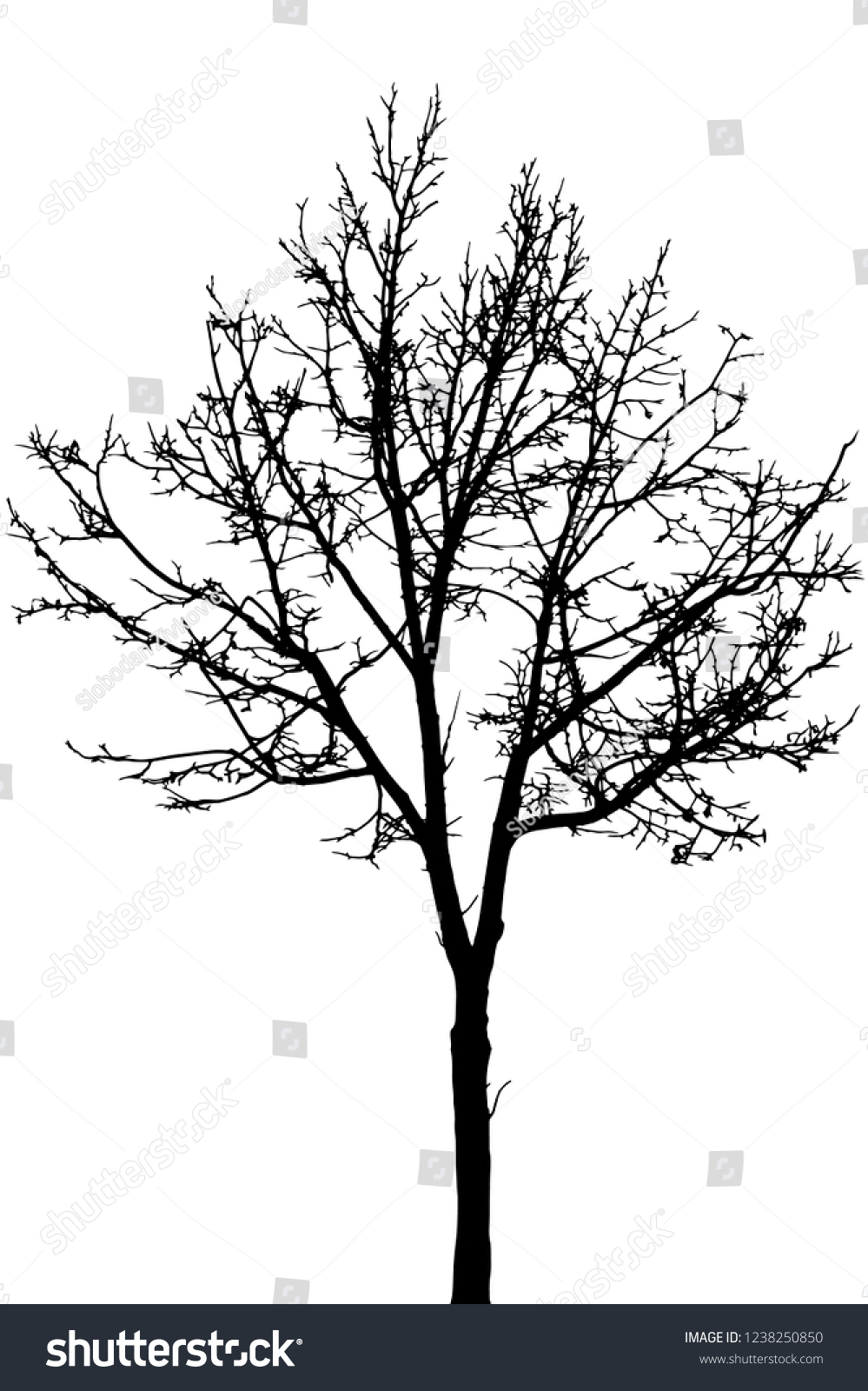 Detailed Tree Silhouette Vector Stock Vector (Royalty Free) 1238250850