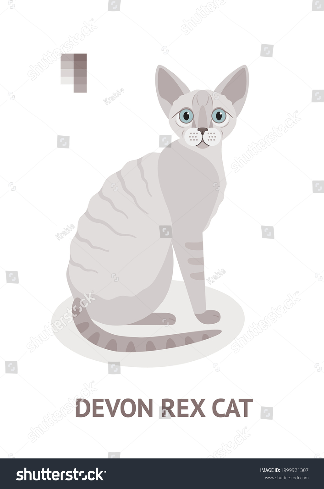 270 Devon rex Stock Vectors, Images & Vector Art | Shutterstock