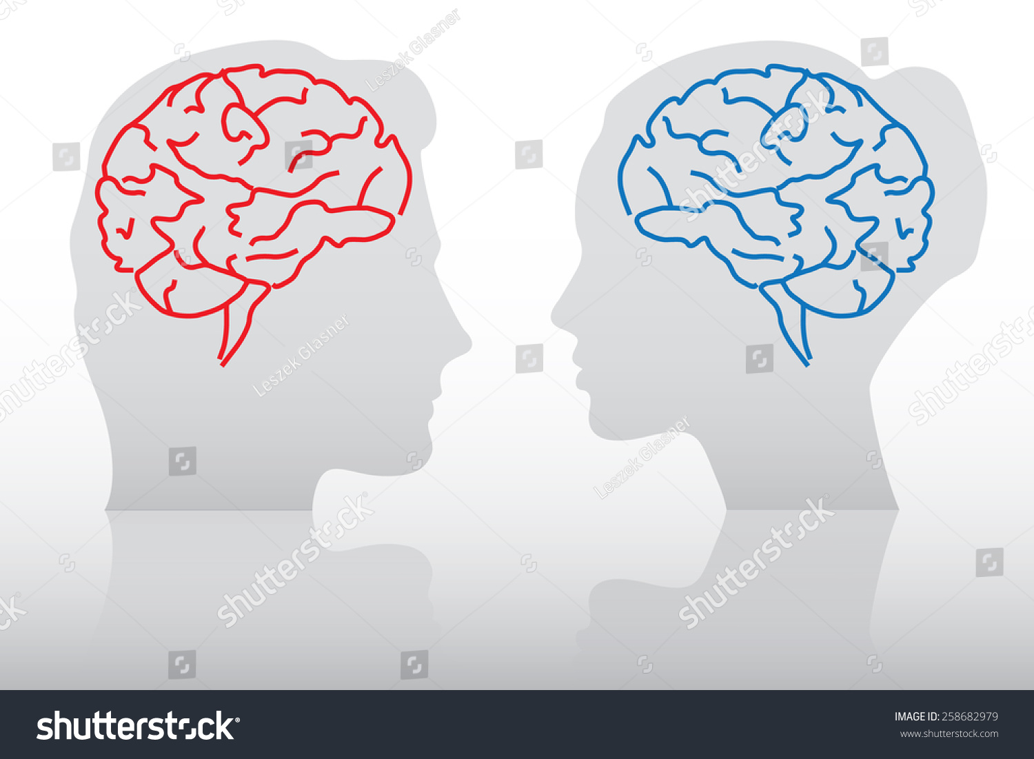 Differences Between Man Woman Concept 库存矢量图（免版税）258682979 | Shutterstock