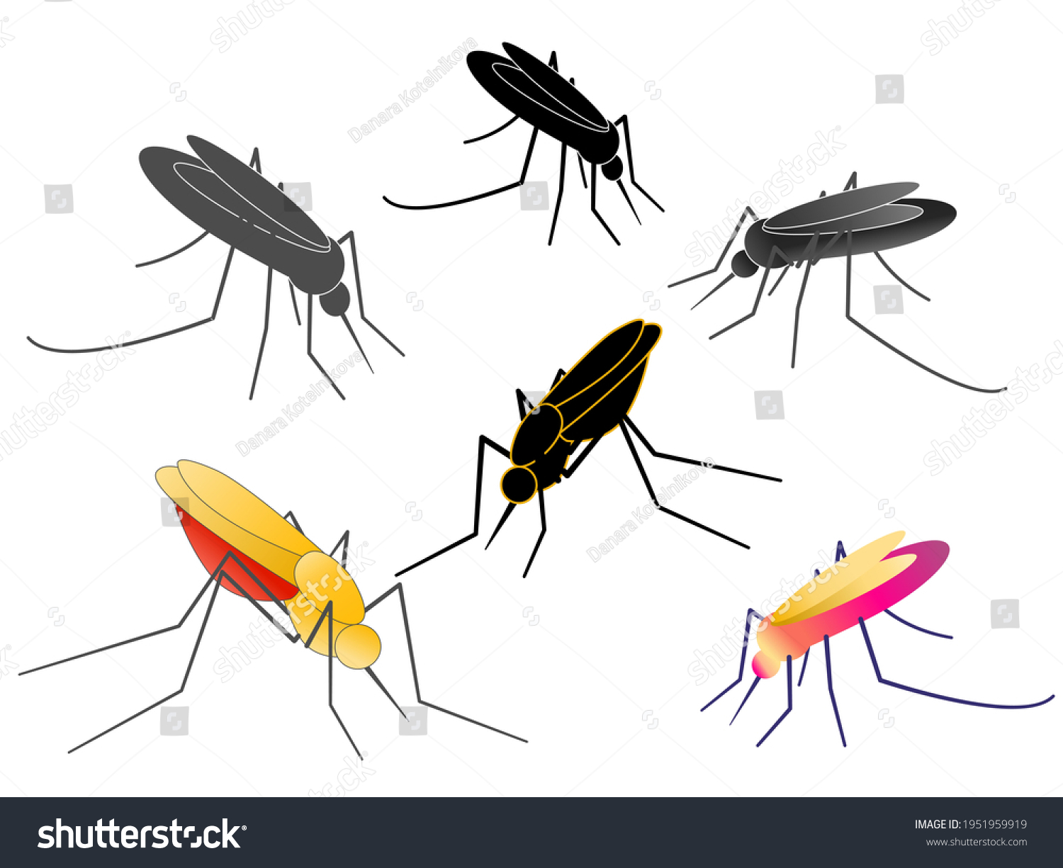 Different Anopheles Mosquitoes Set Flat Vector Stock Vector (Royalty ...